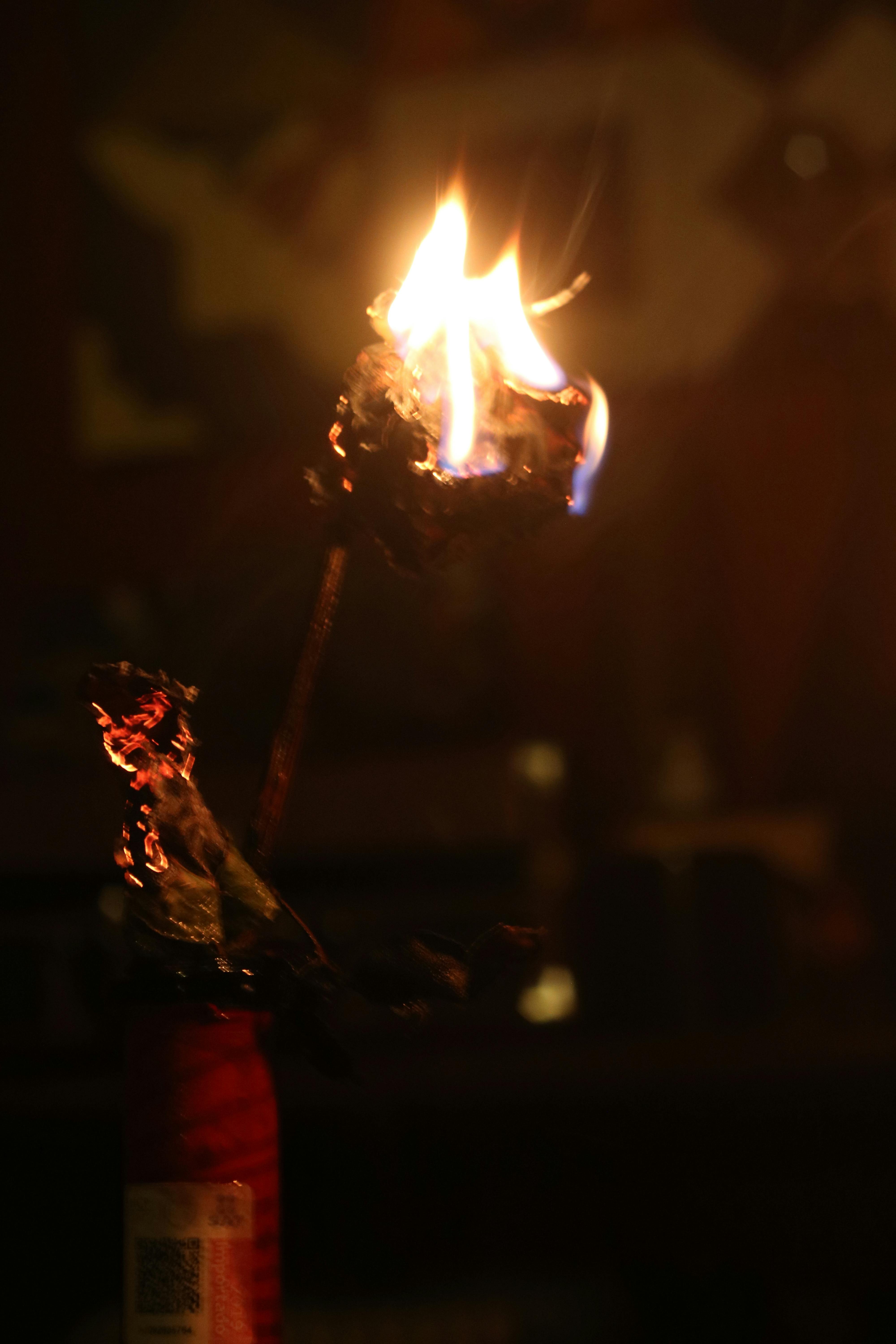 Flowers & Fire 5 Photos & Videos Collected by Lorena Ambrosio