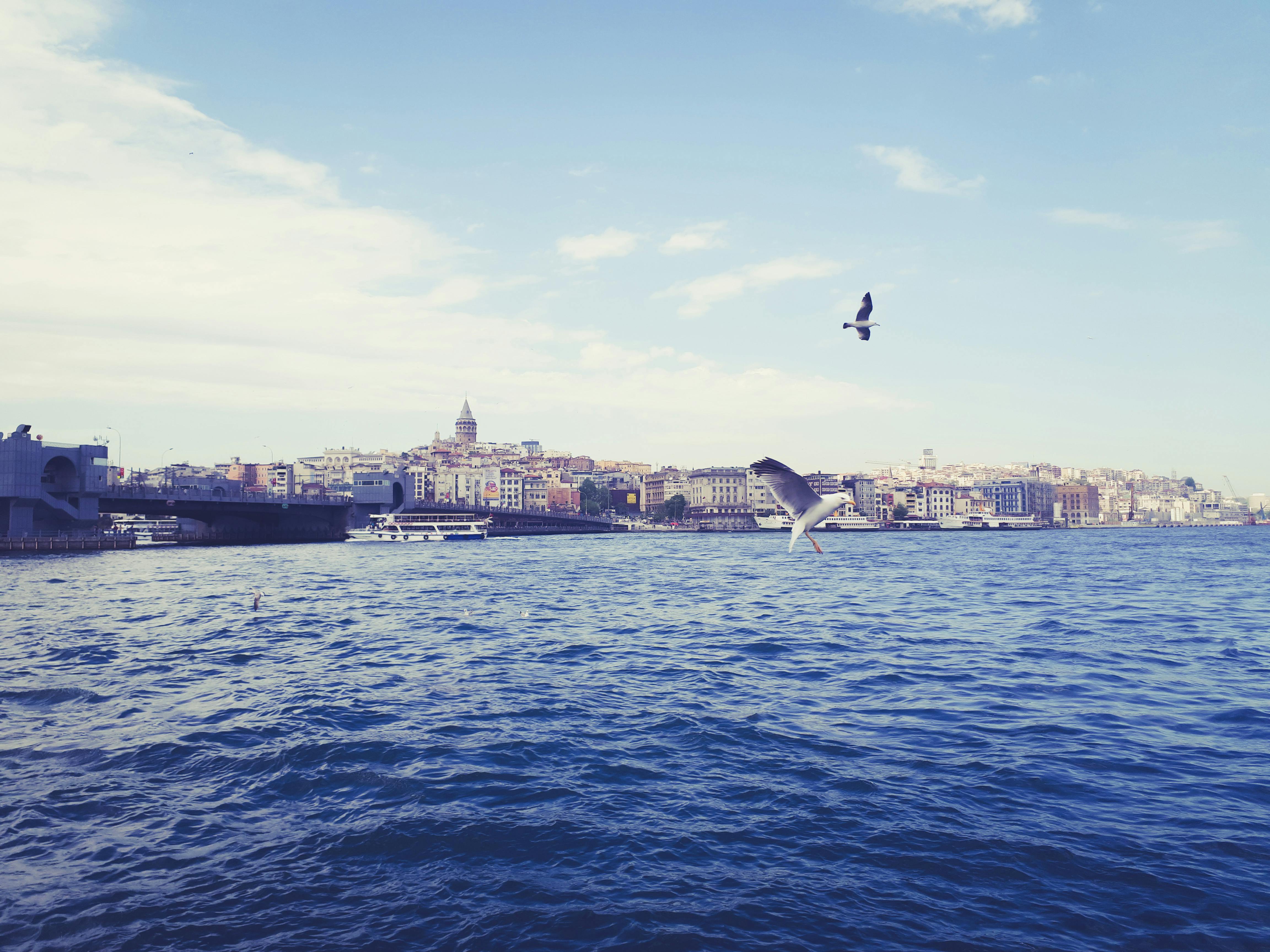 Amy Chandra · Photography