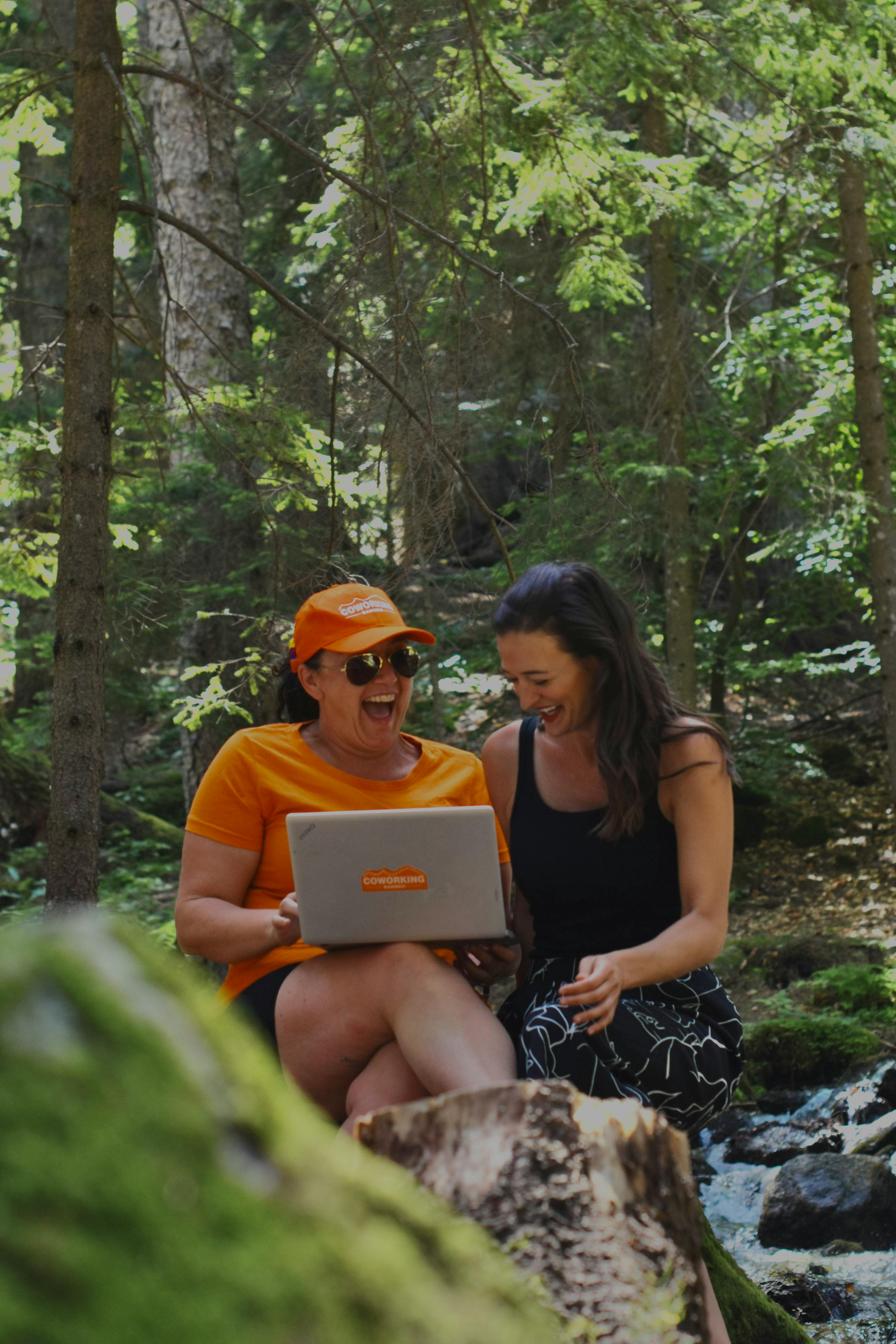 Women Using a Laptop in the Woods · Free Stock Photo