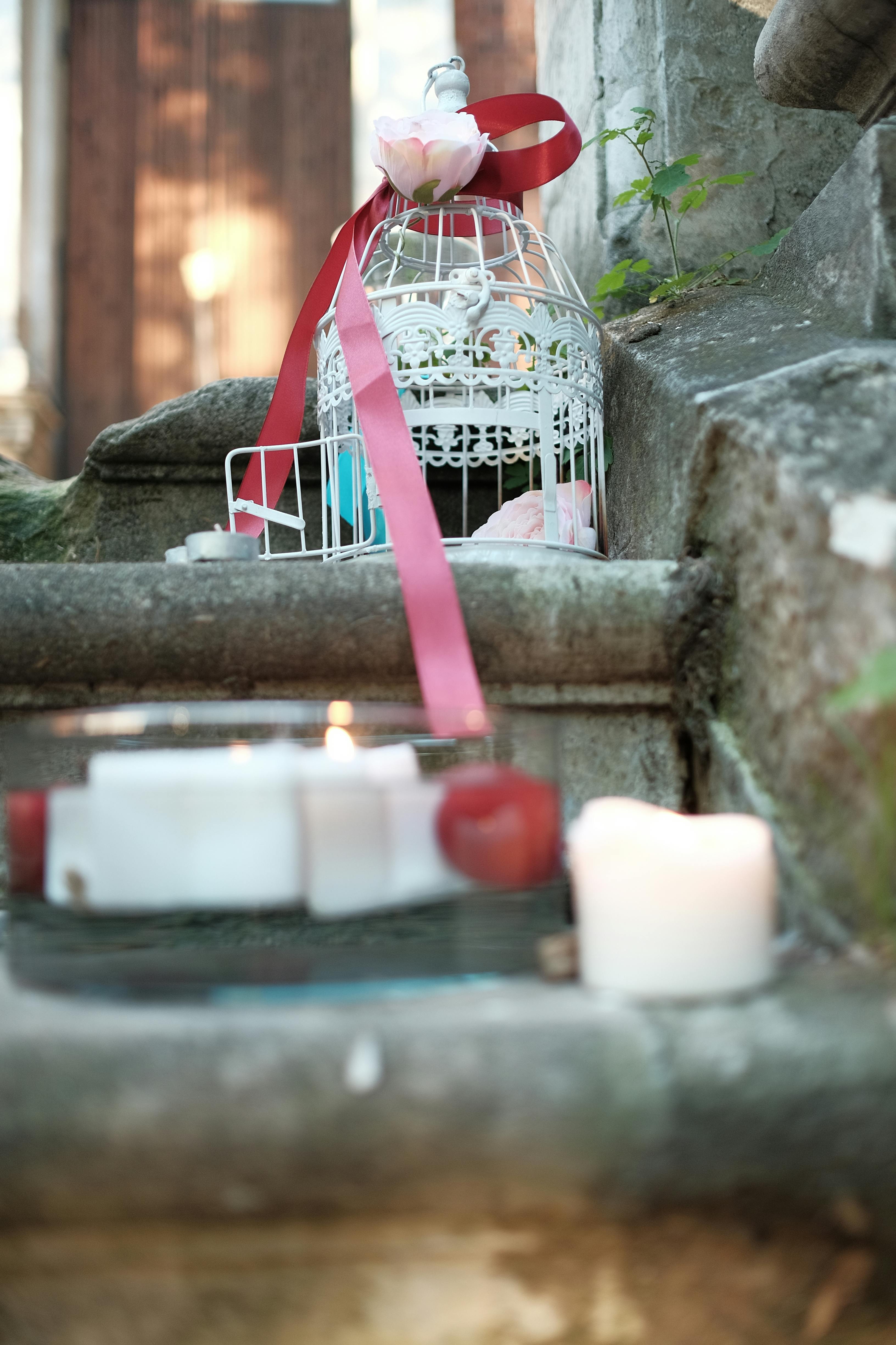 Close Up Shot of a Bird Cage · Free Stock Photo