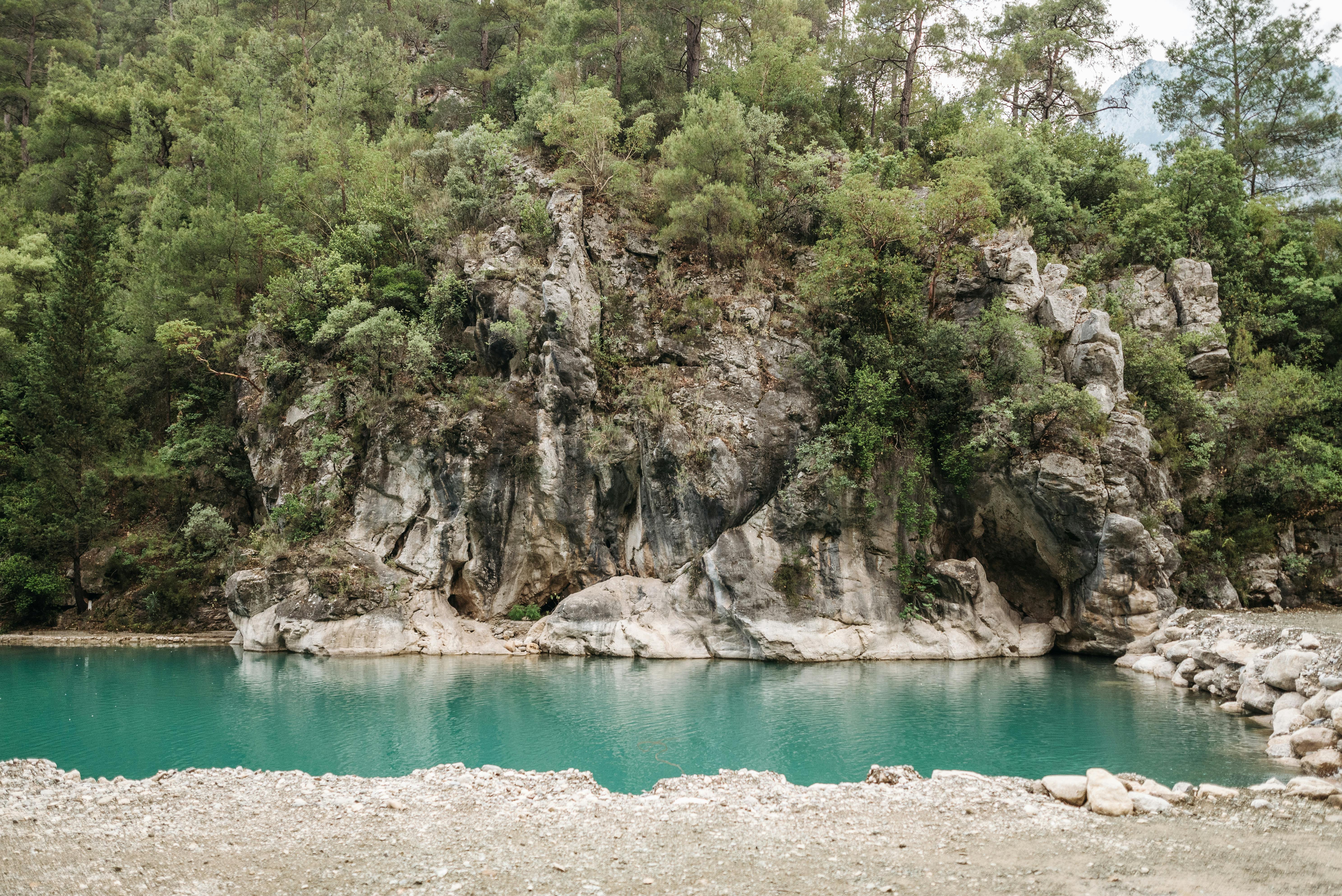 Scenic View of River · Free Stock Photo