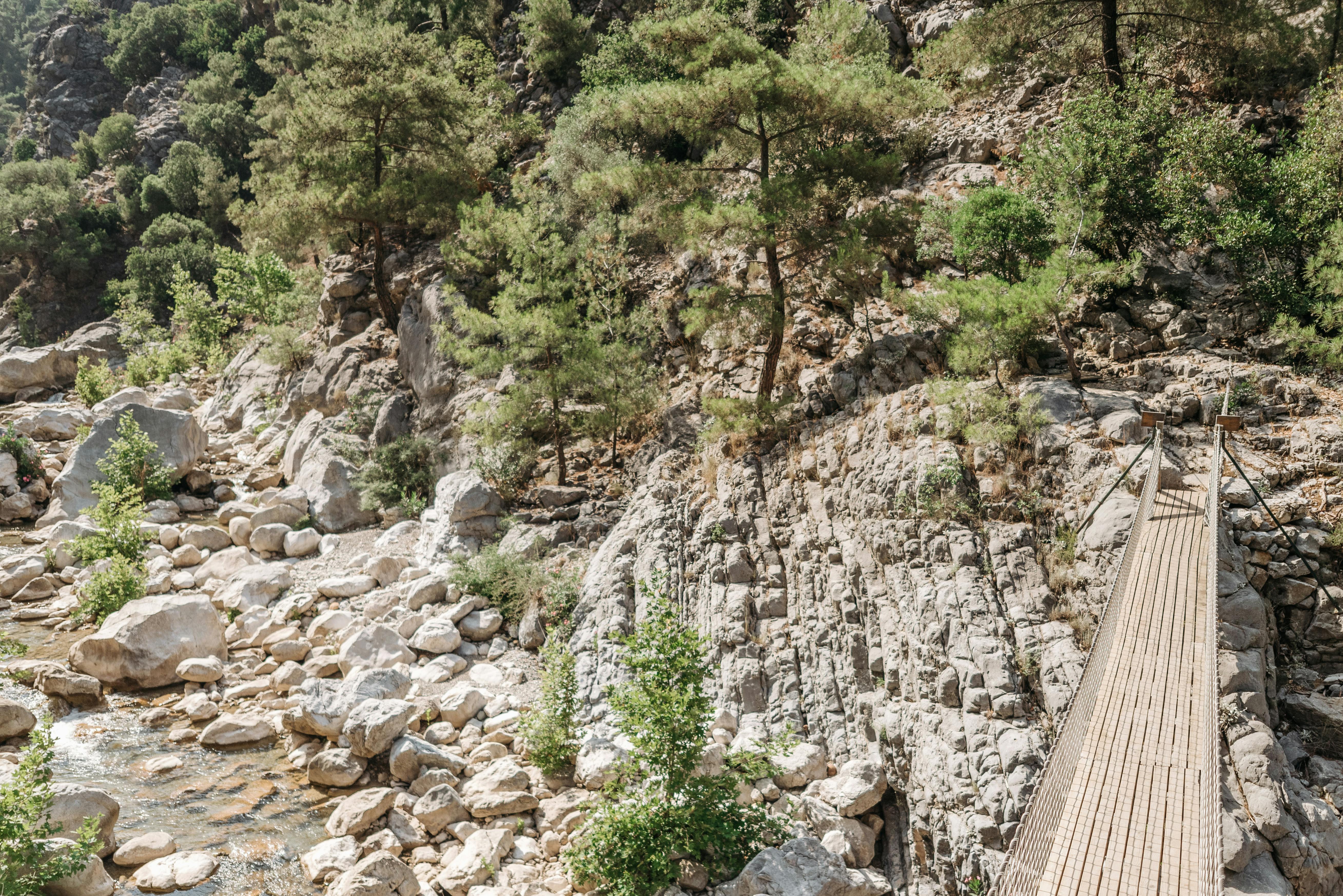 Hanging Path Photos, Download The BEST Free Hanging Path Stock Photos ...