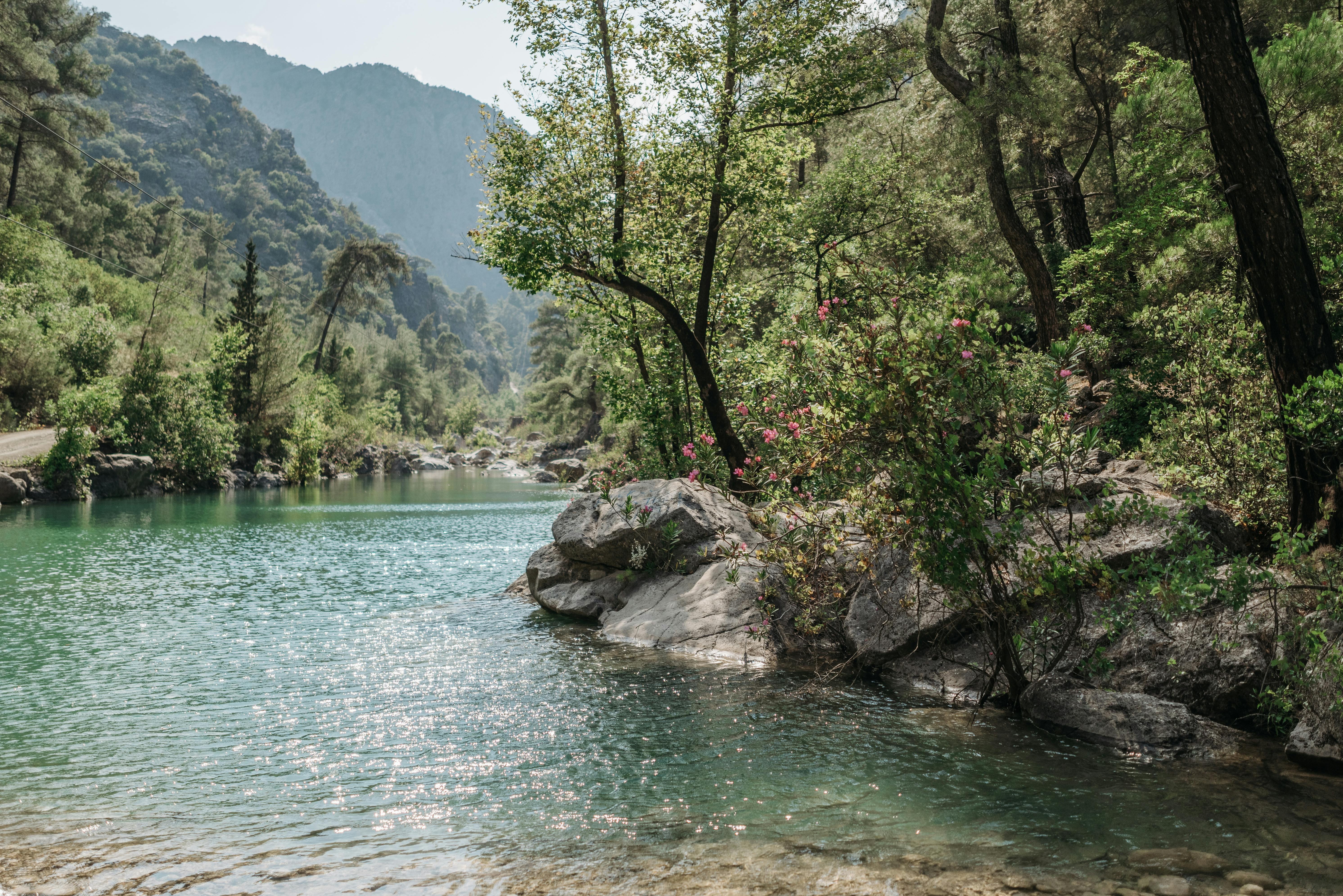 A River in the Countryside · Free Stock Photo