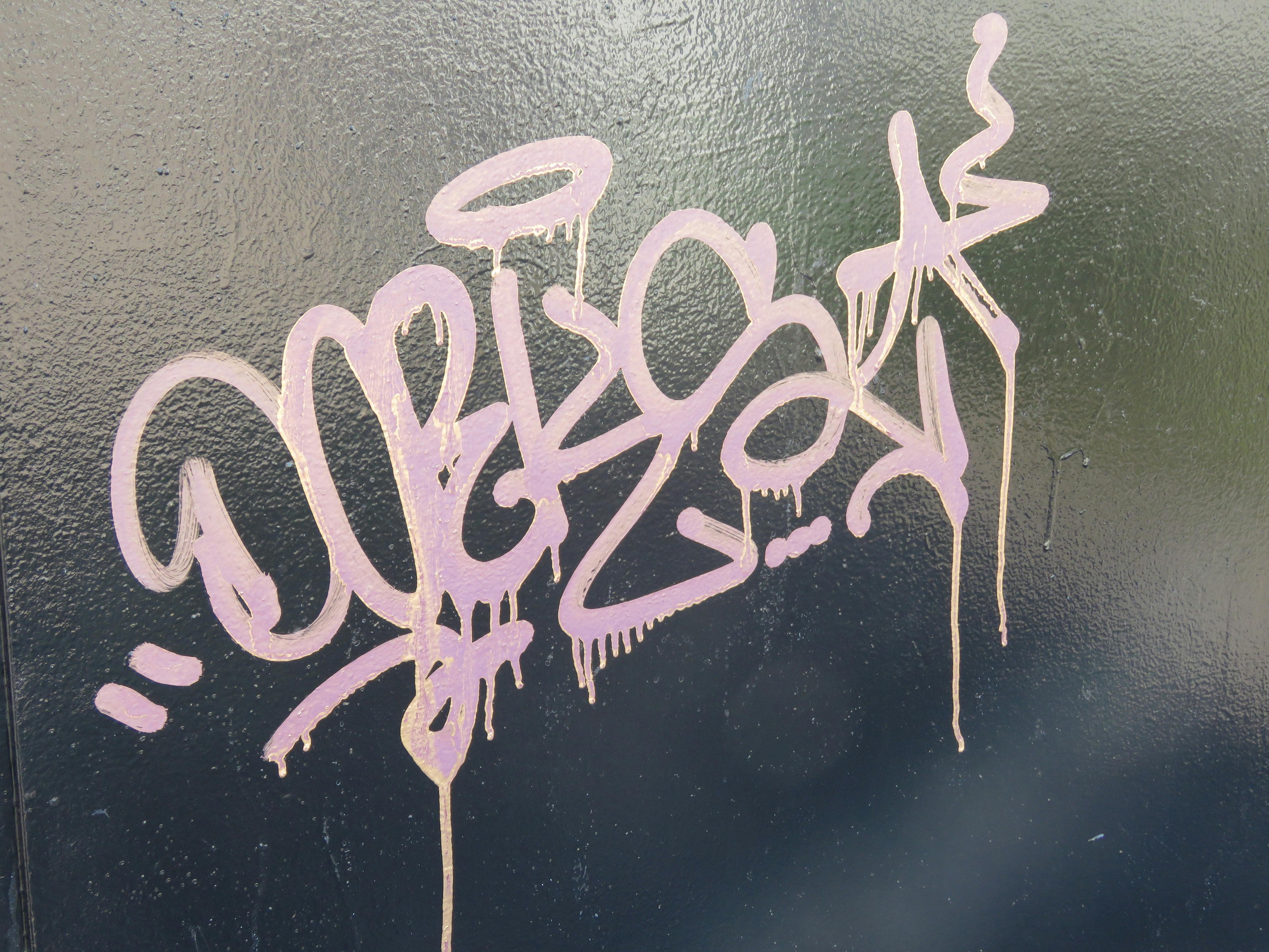 Graffiti 4 Photos & Videos Collected by Drew Murley