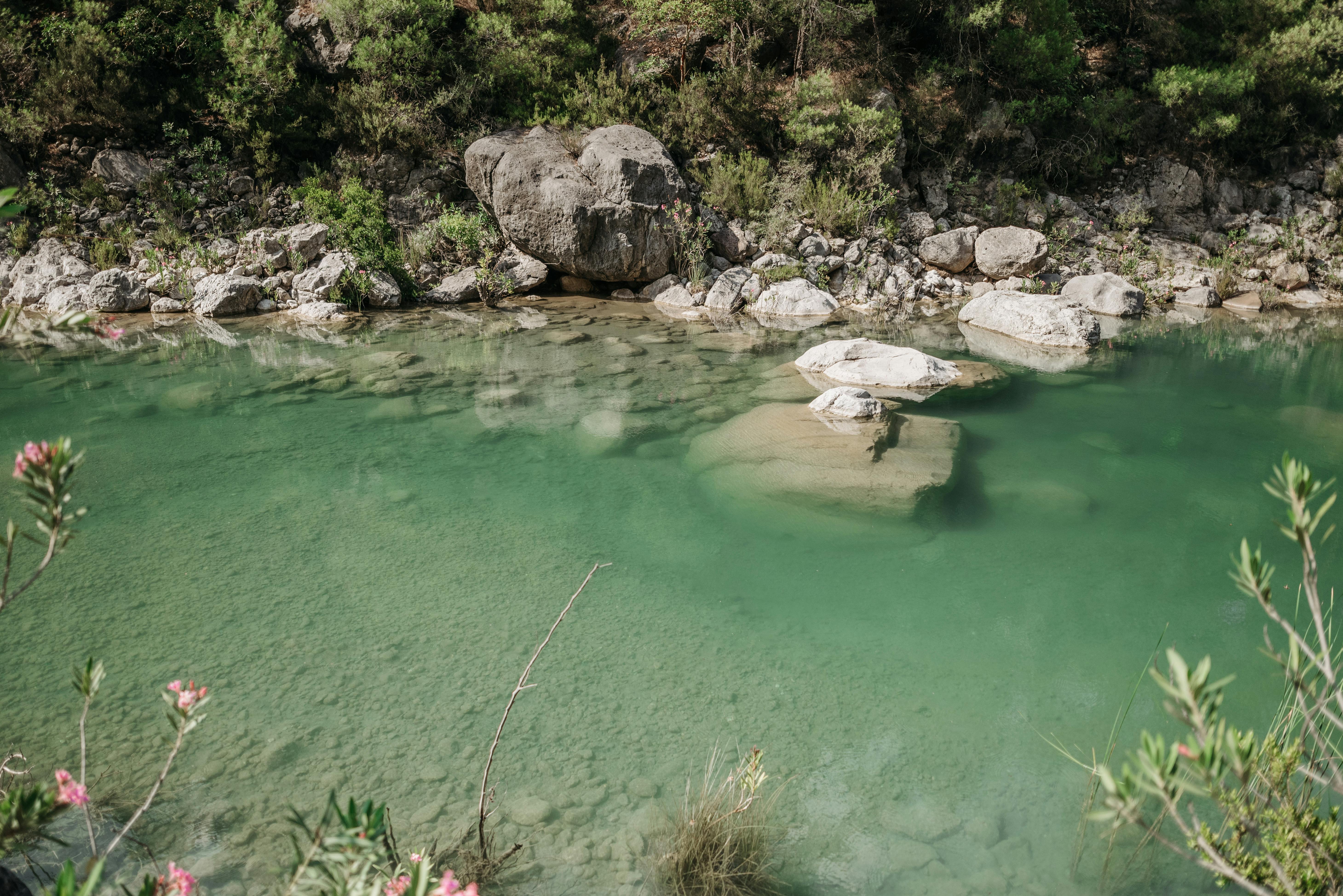 Rocky Bank of Stream with Clear Greenish Water · Free Stock Photo