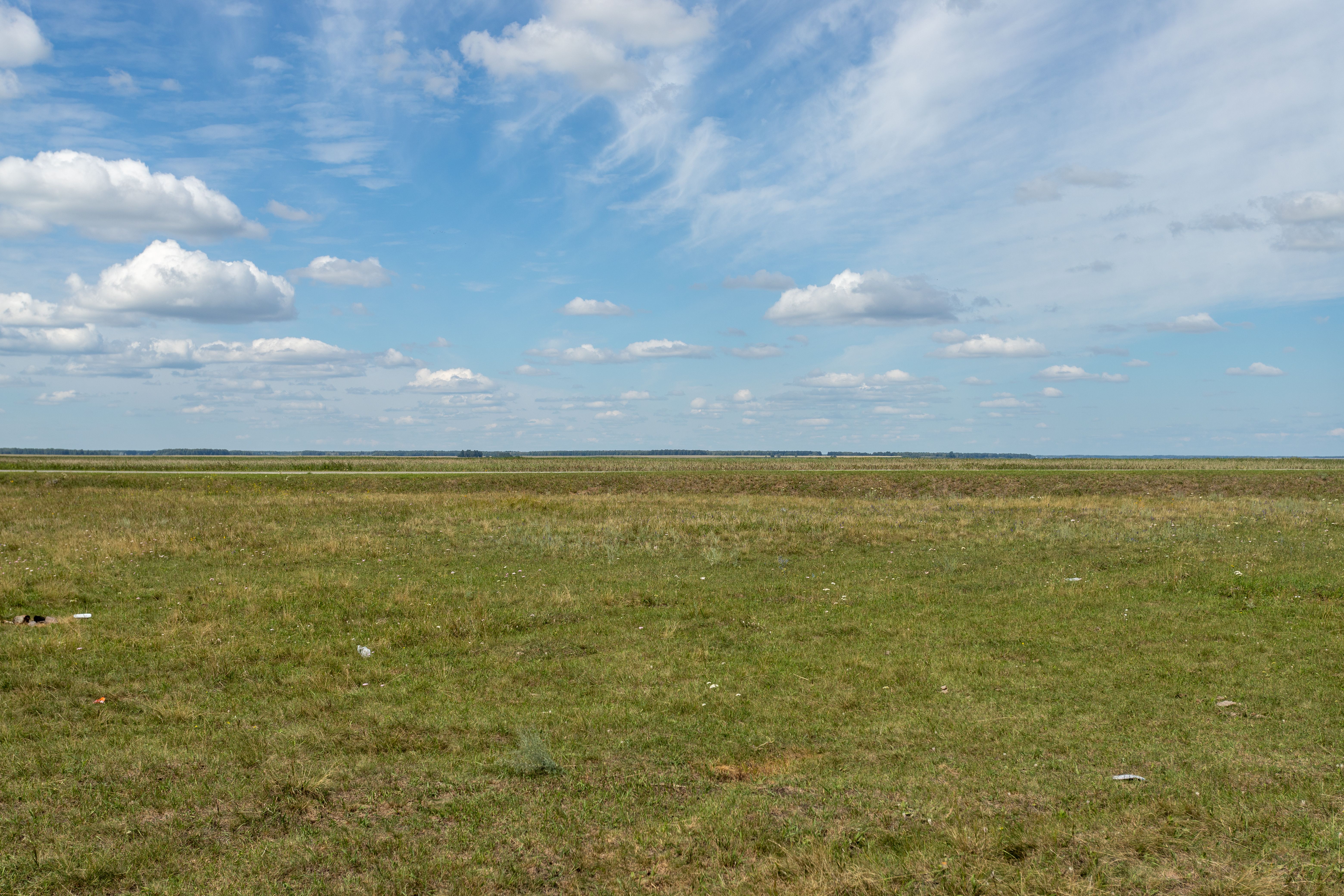 A Grassy Field · Free Stock Photo