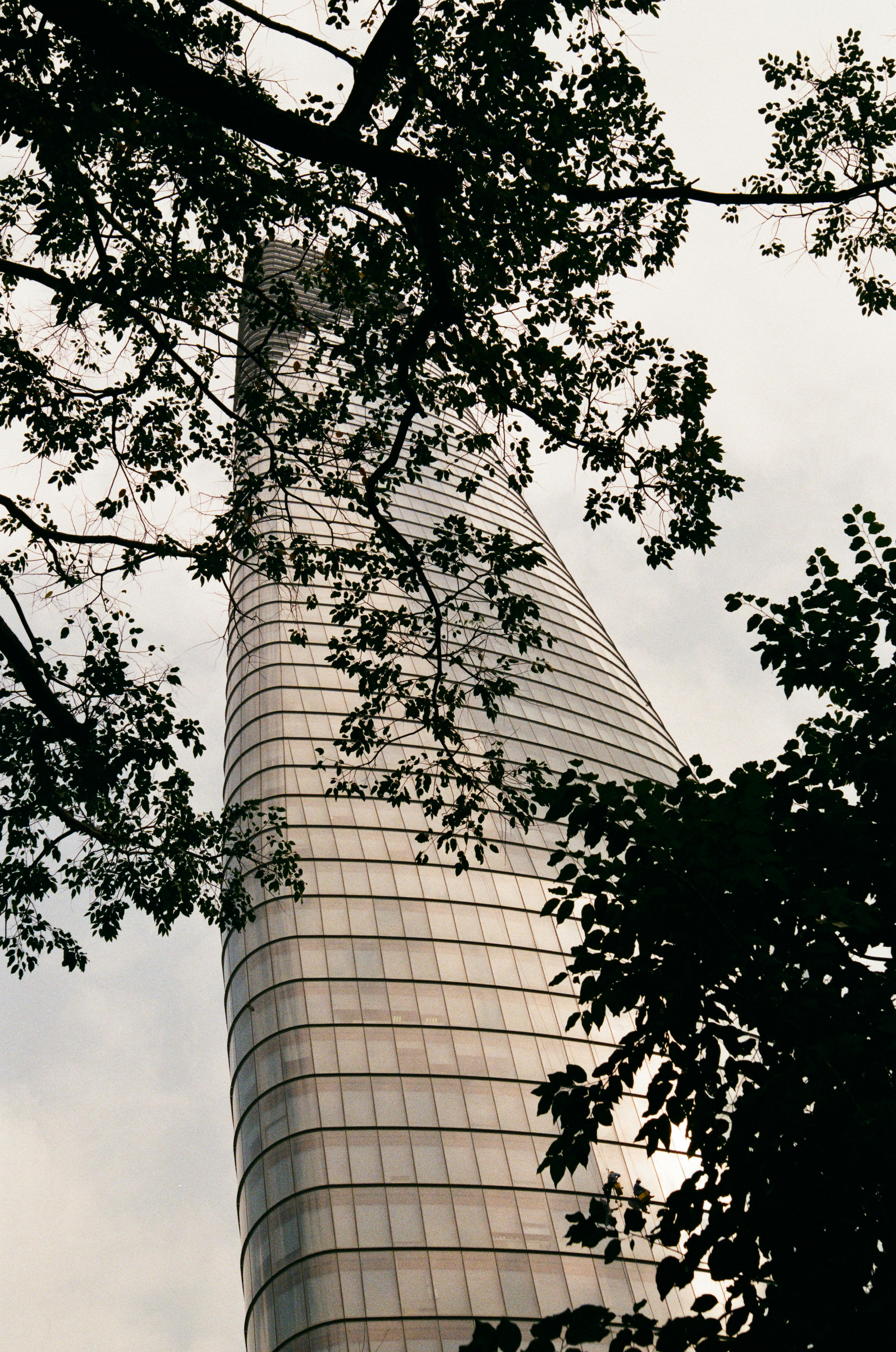Low-Angle Shot of a High-Rise Building · Free Stock Photo