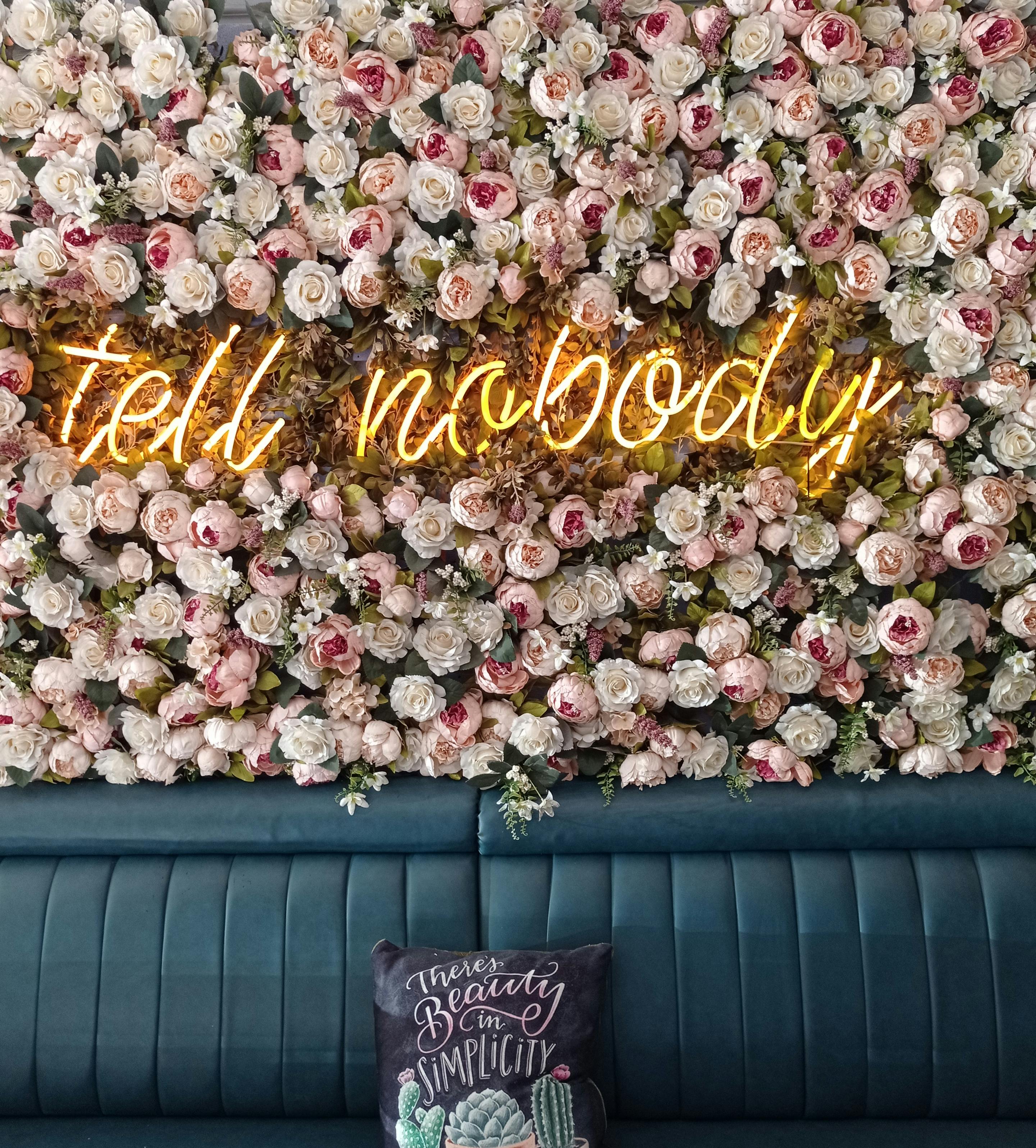 Throwing Roses Photos, Download The BEST Free Throwing Roses Stock ...