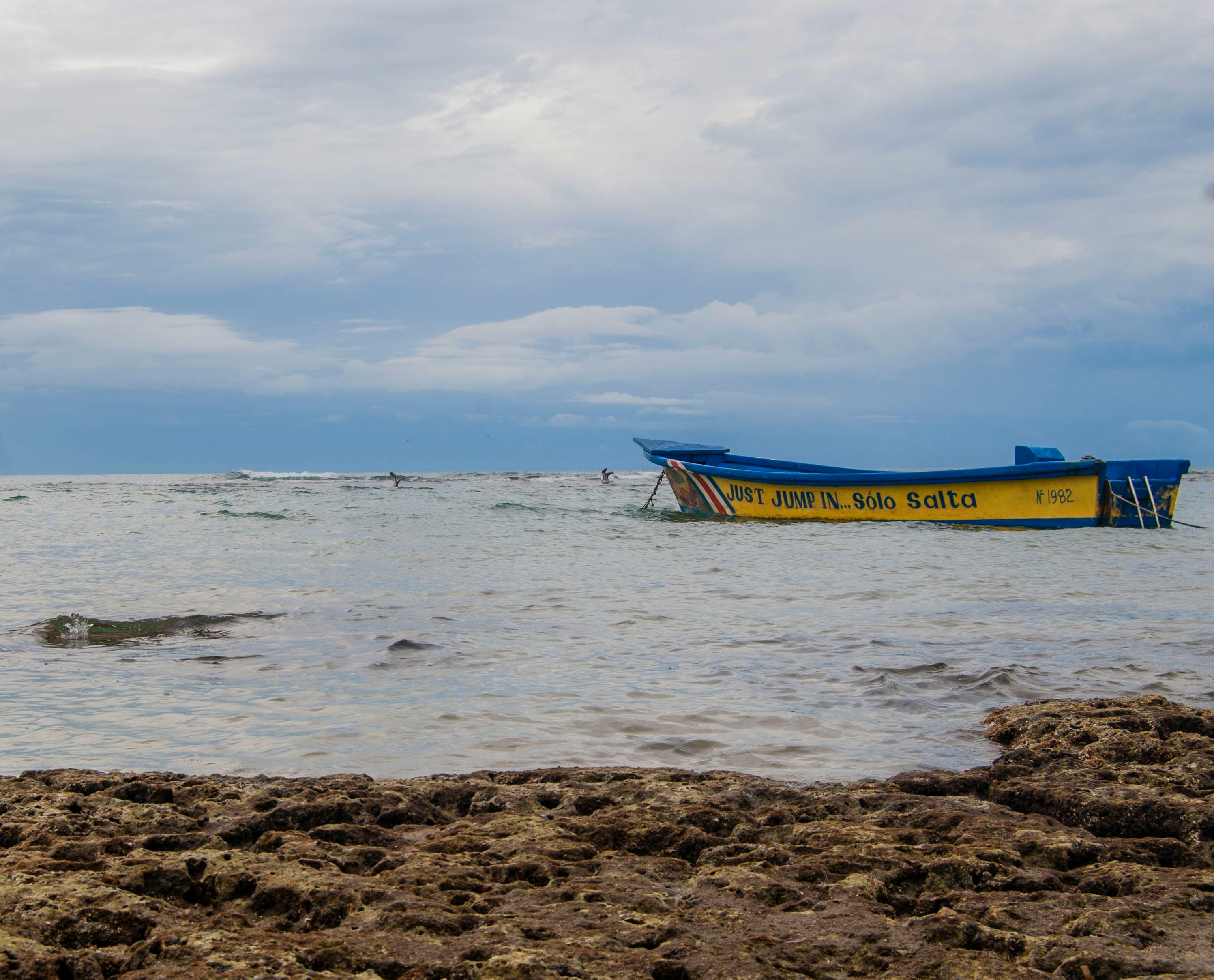 170+ Best Free Costa rica Stock Photos & Images · 100% Royalty-Free HD ...