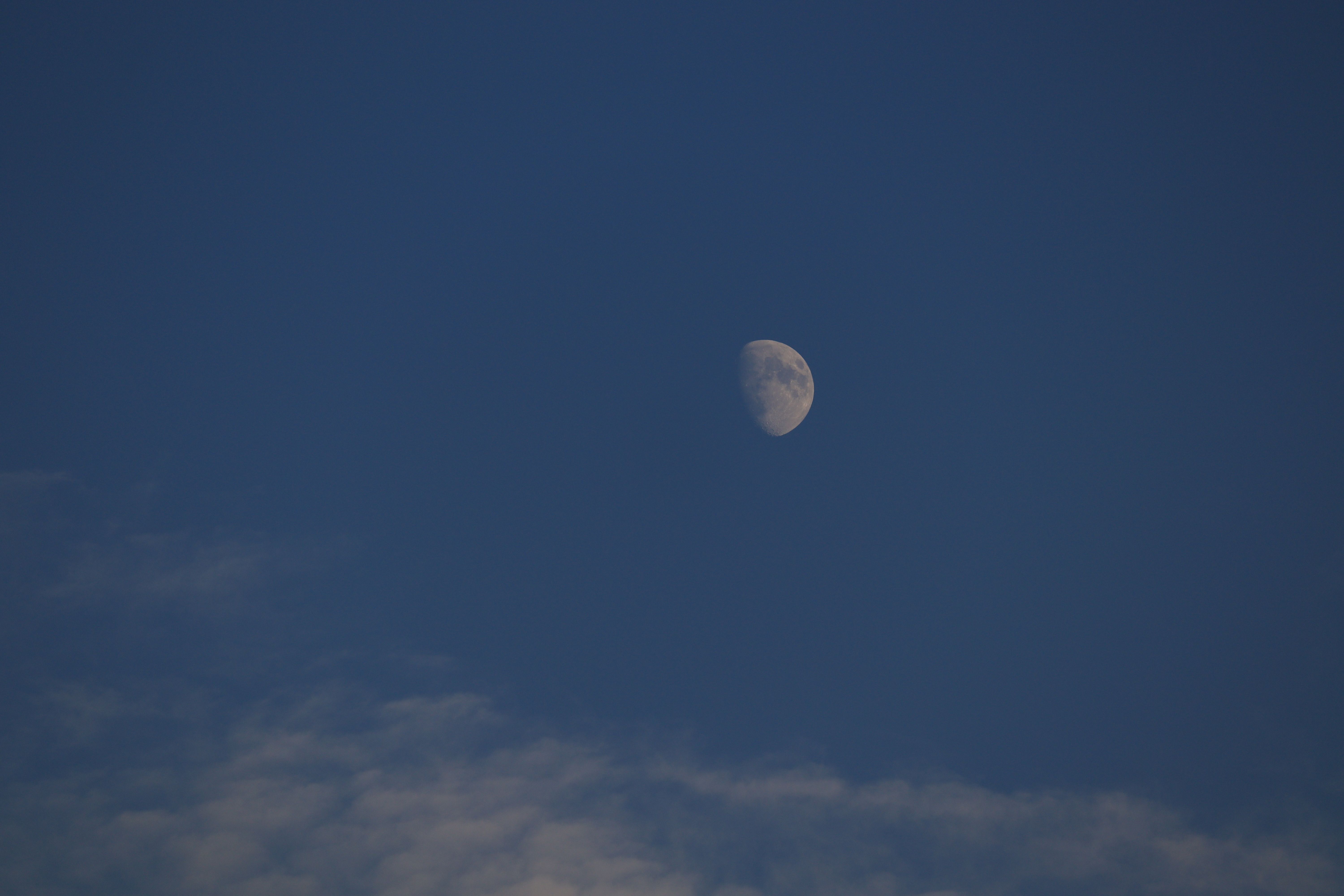Half Moon View · Free Stock Photo