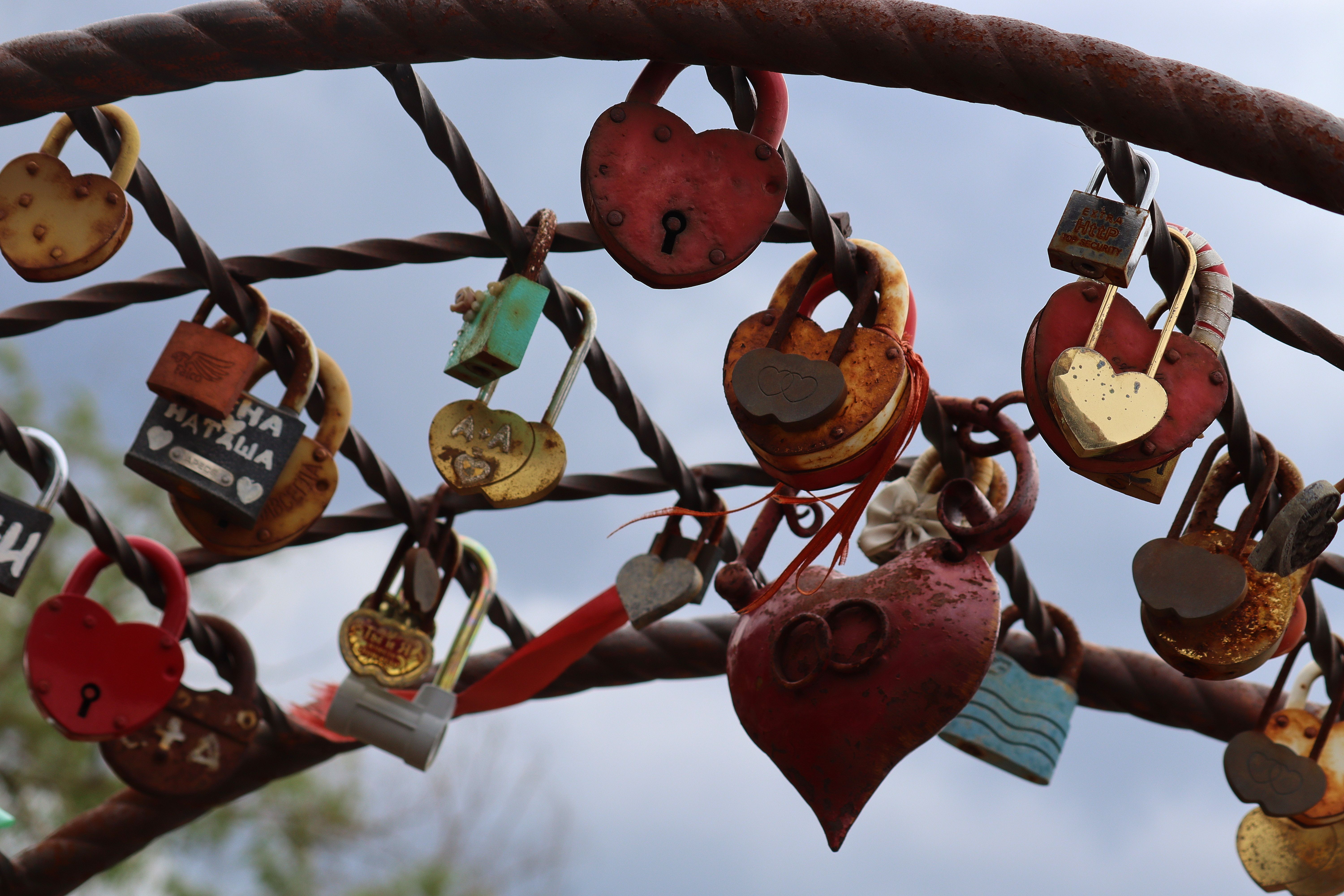 Assorted Padlocks Hanging on Metal Grill · Free Stock Photo