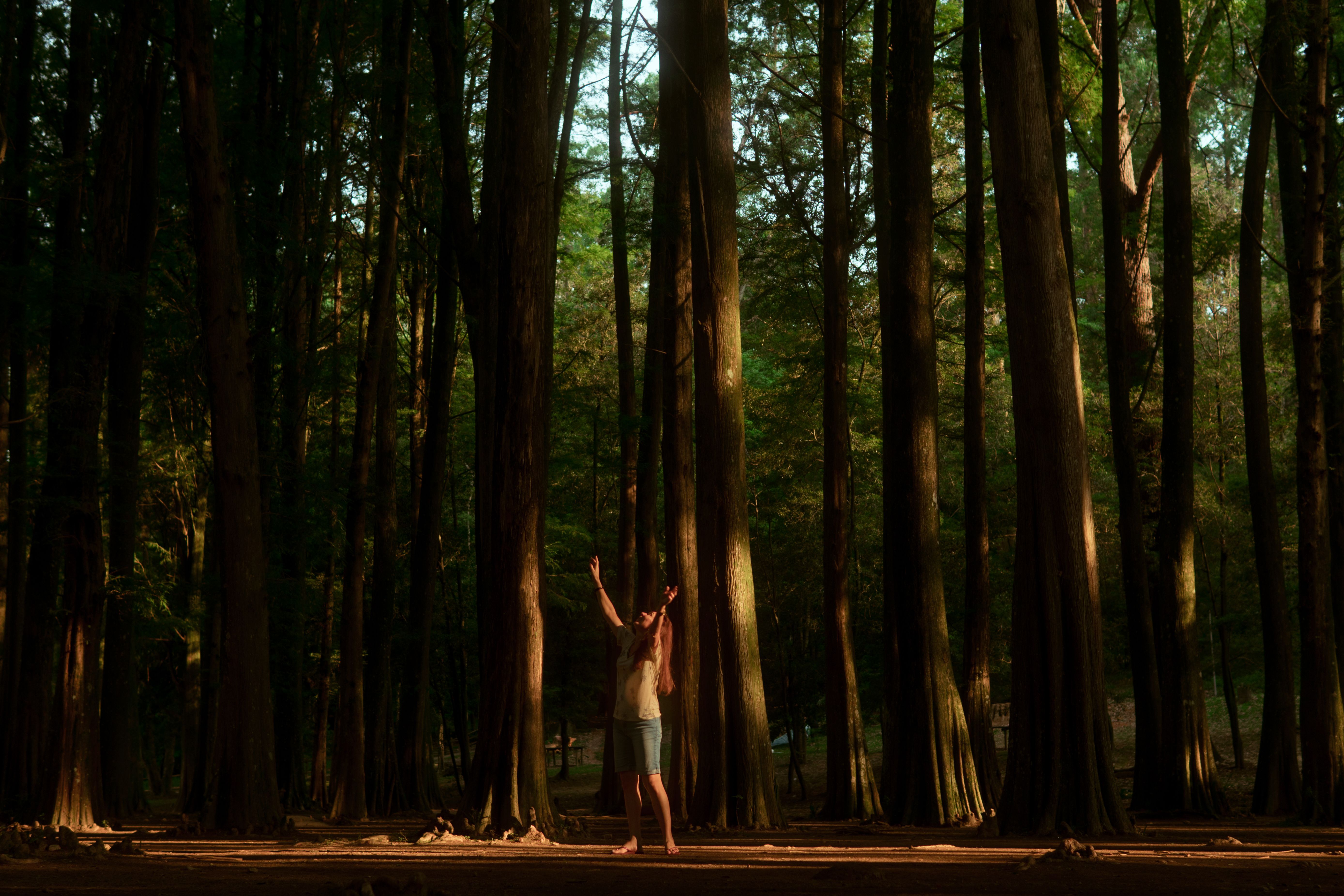 Woman Standing Behind Tree · Free Stock Photo