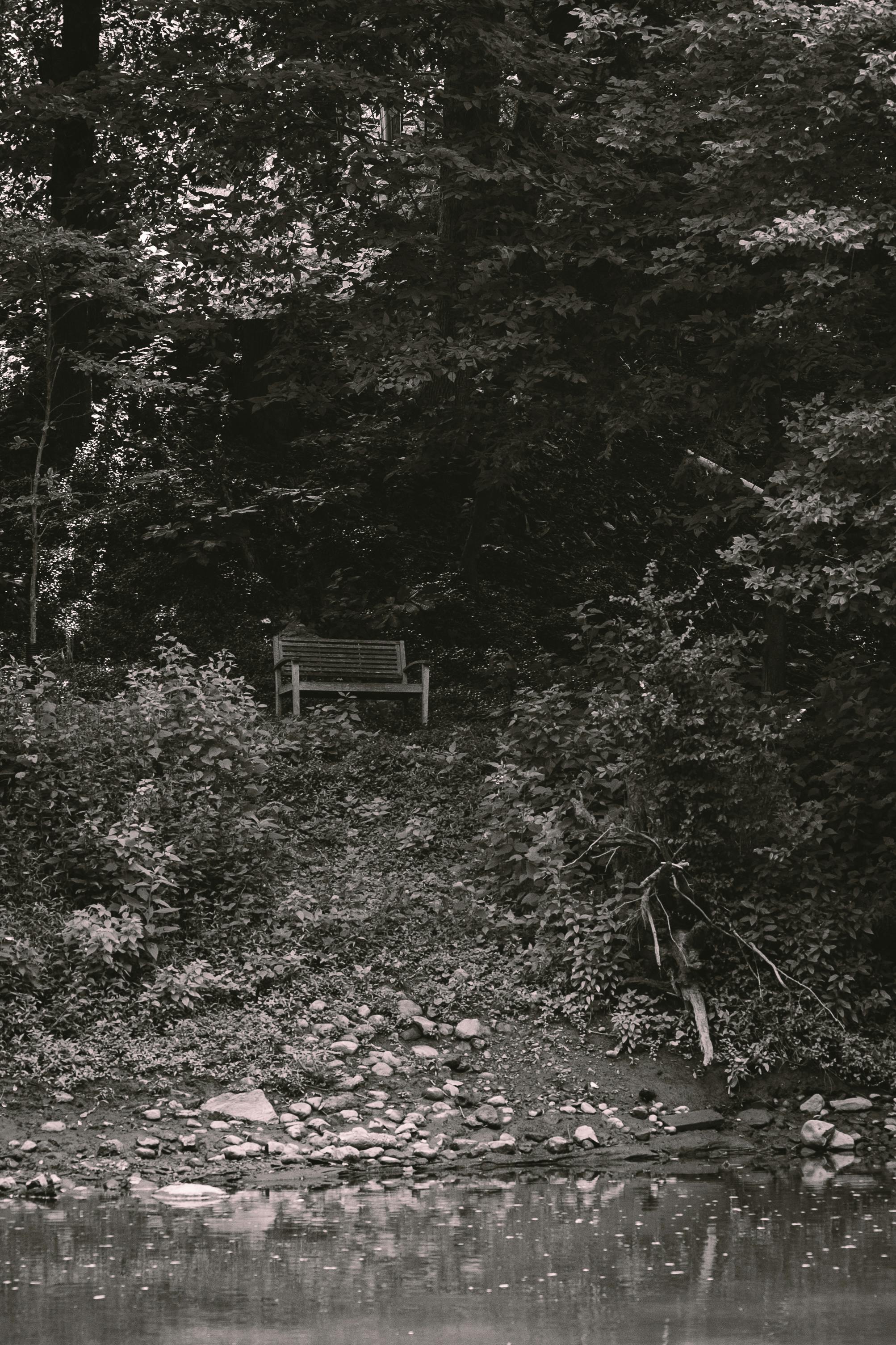 Grayscale Photo of a Church Beside the River · Free Stock Photo