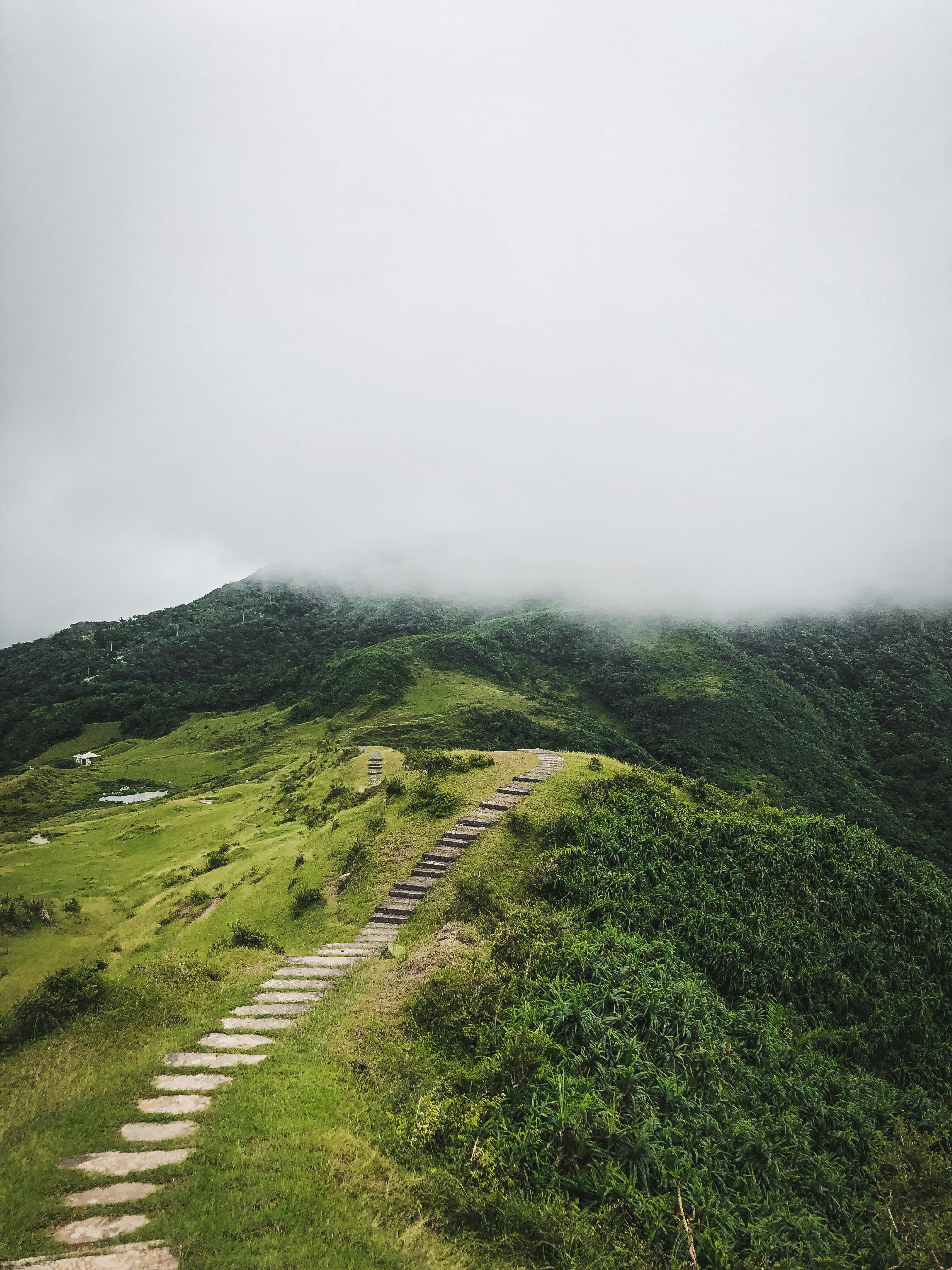 Green Trees on Mountain · Free Stock Photo