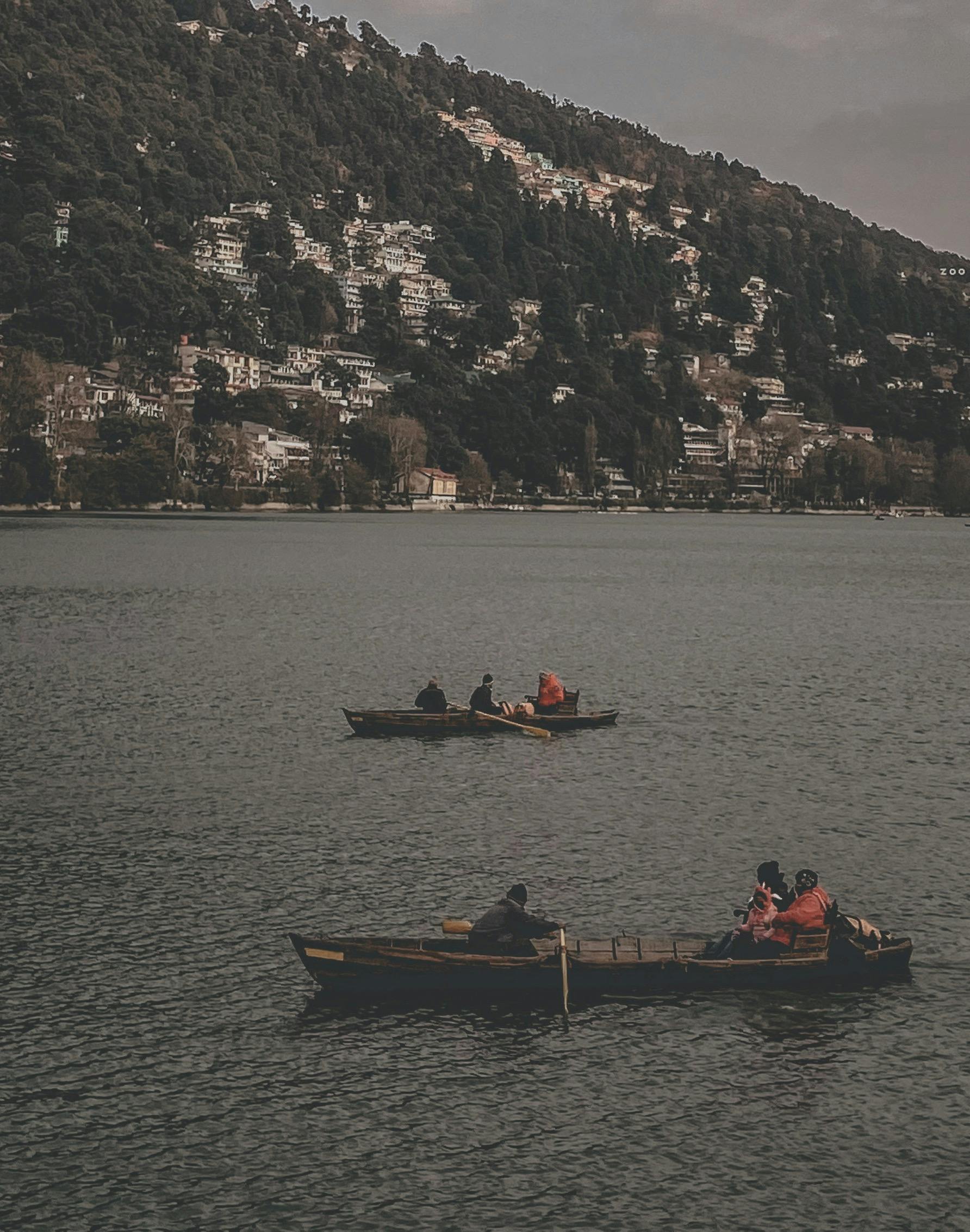 Person Riding a Boat Beside Raft of Ducks · Free Stock Photo