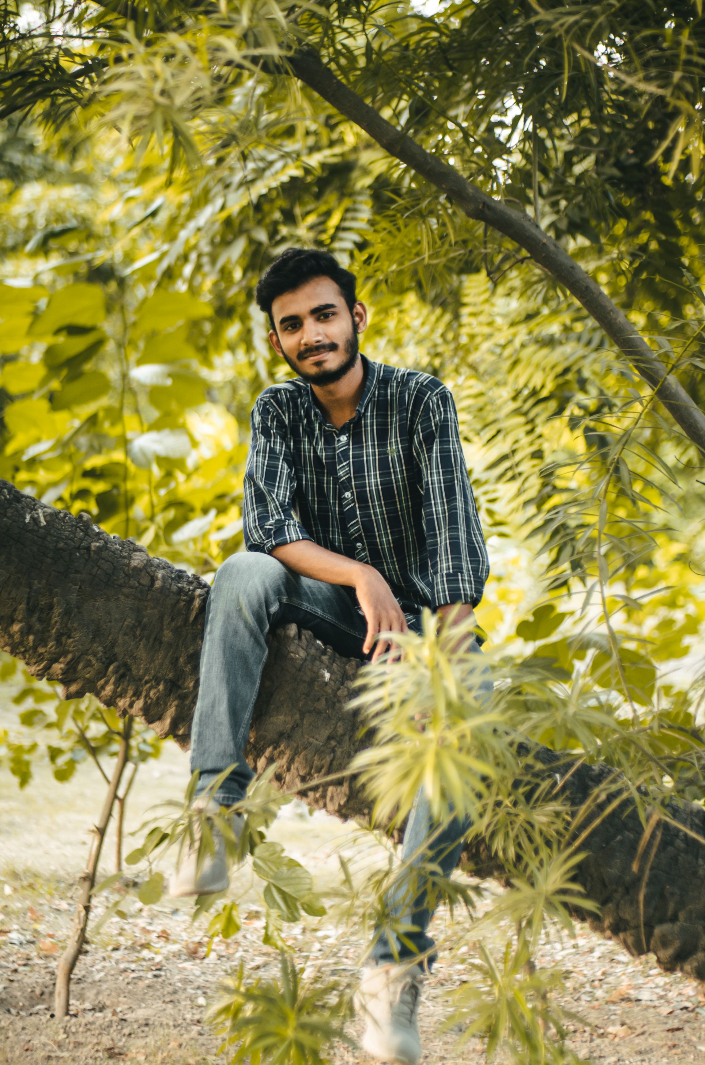 Man with Beard in the Forest Posing · Free Stock Photo