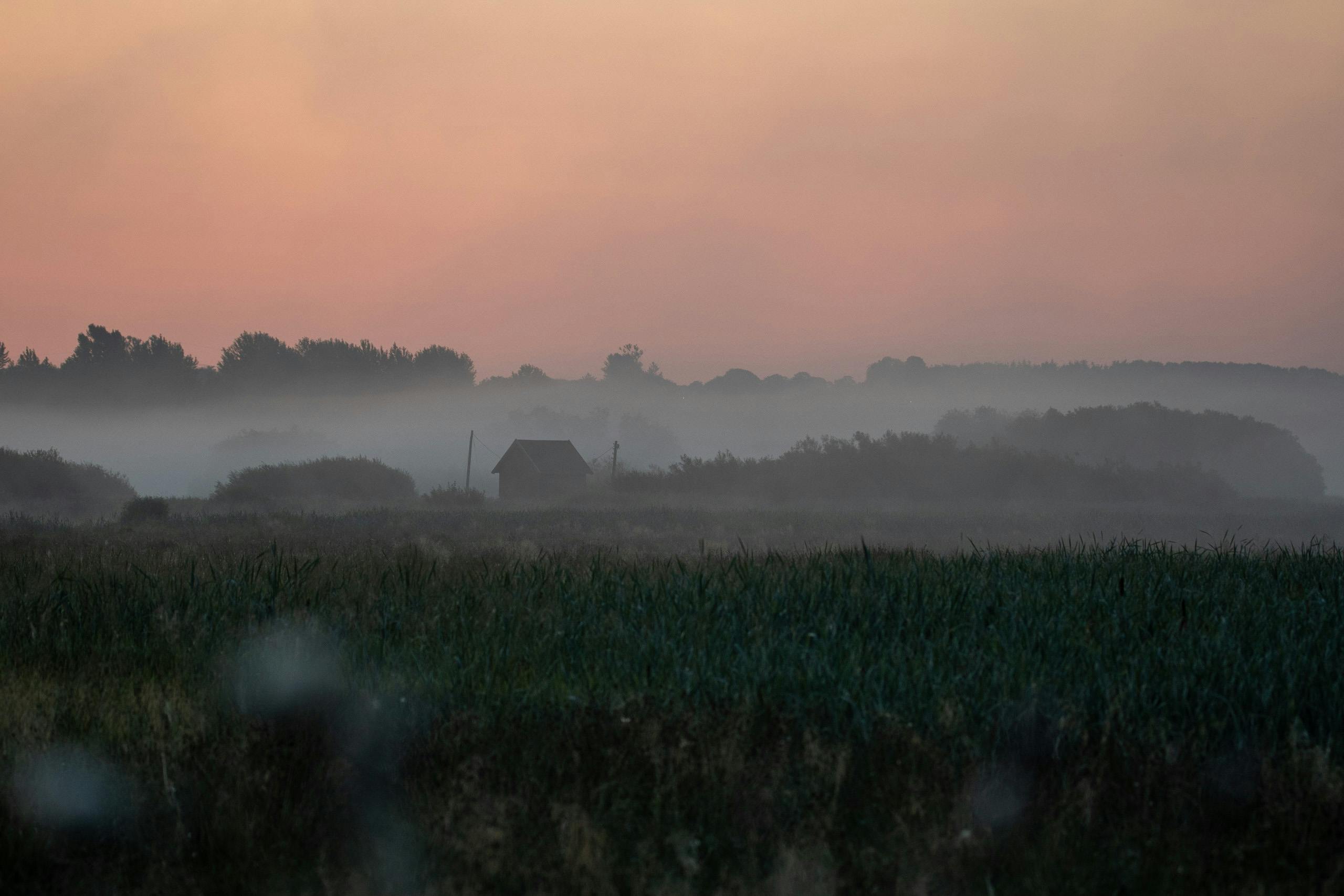 Foggy Rural Landscape at Sunset · Free Stock Photo