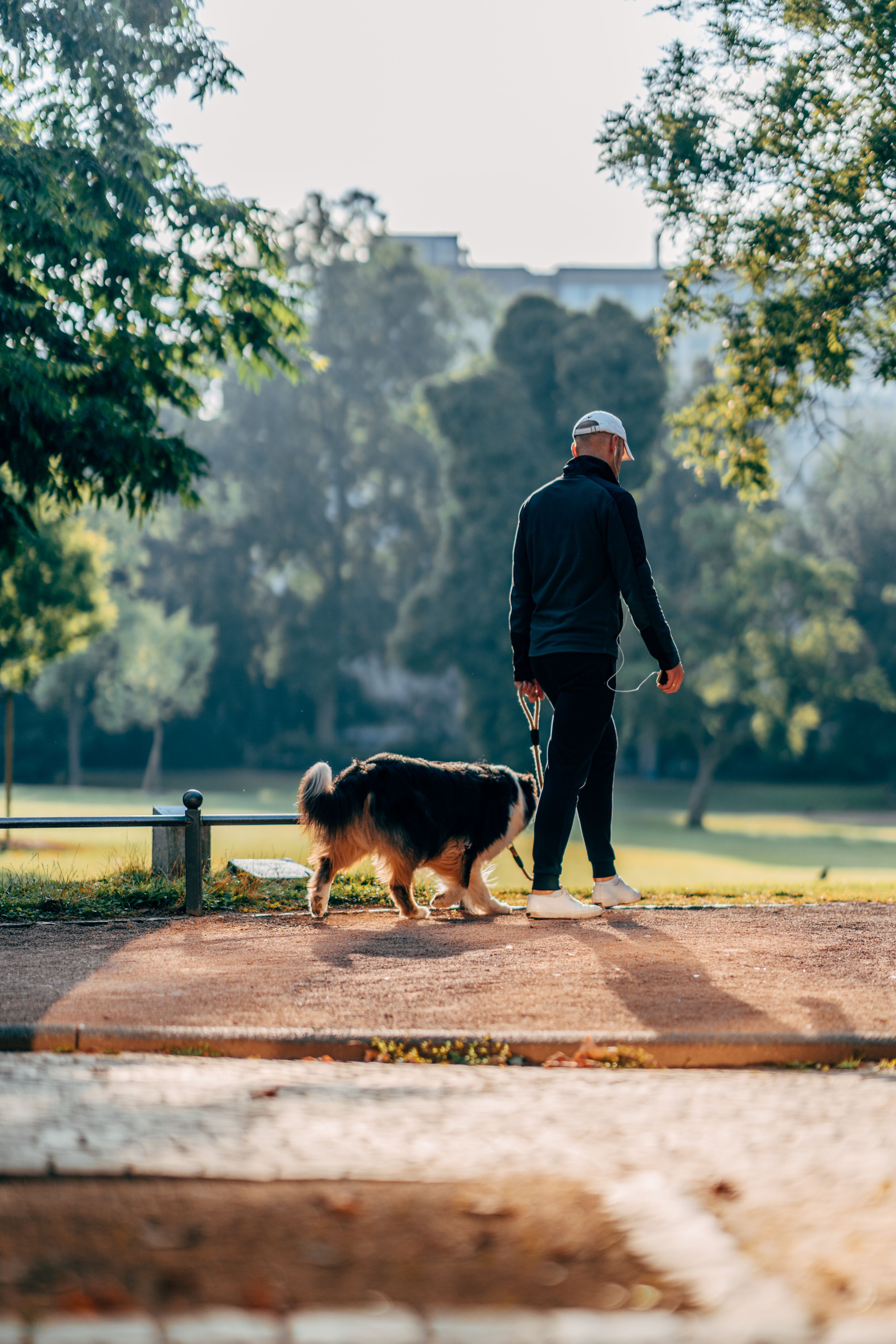 Man Walking the Dog · Free Stock Photo
