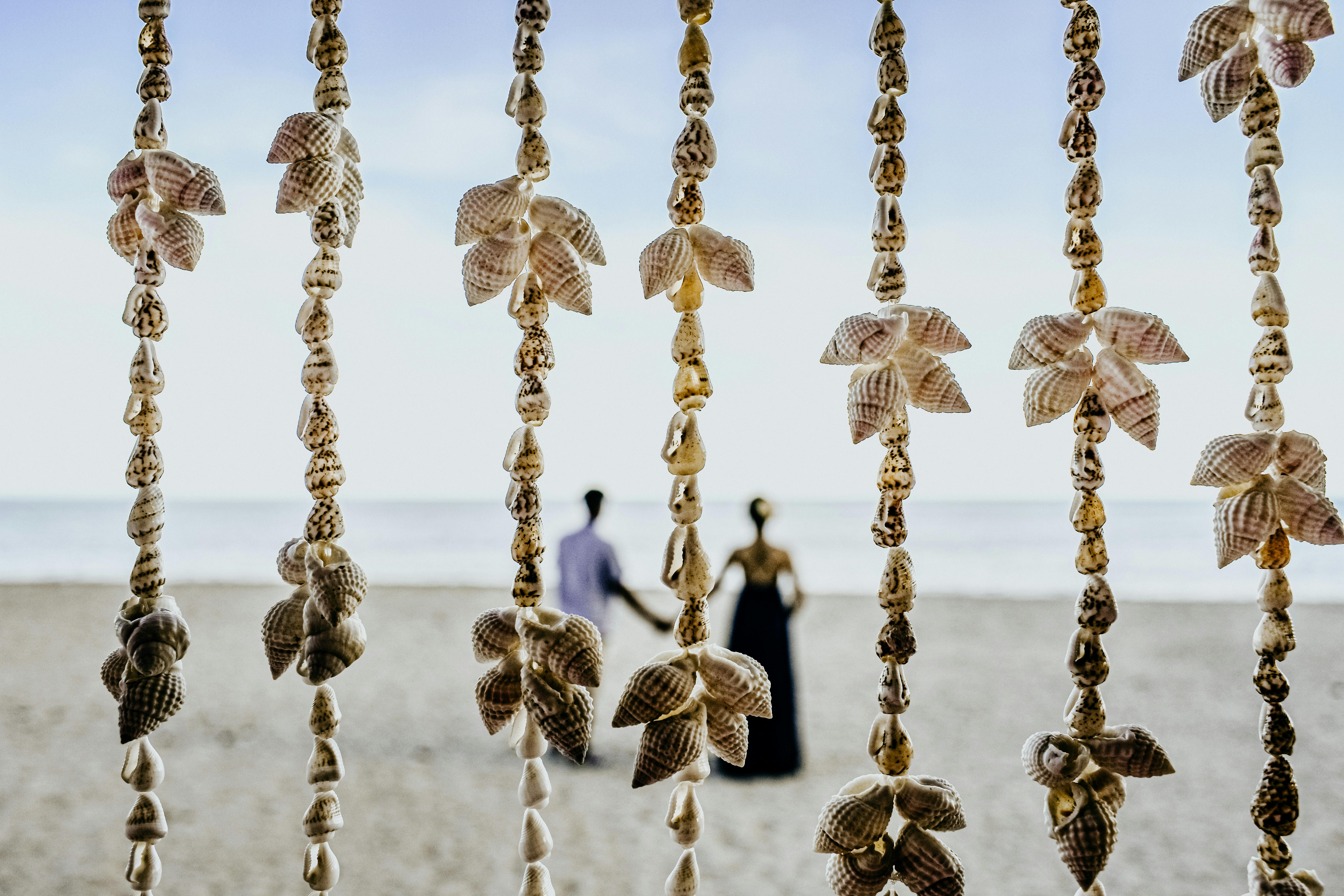 Hanging Chains of Seashells · Free Stock Photo