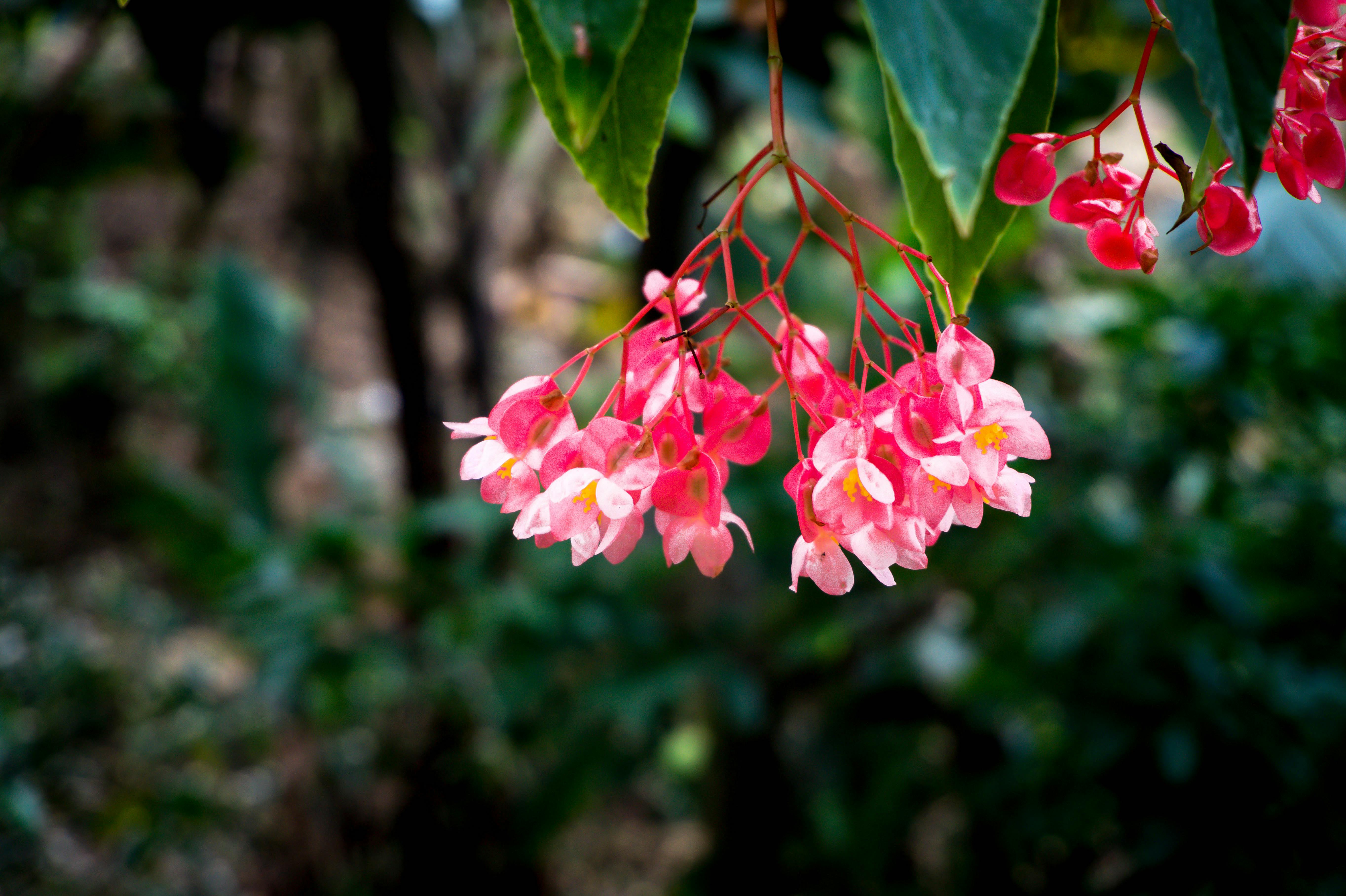 Sarah Hansen - Photography