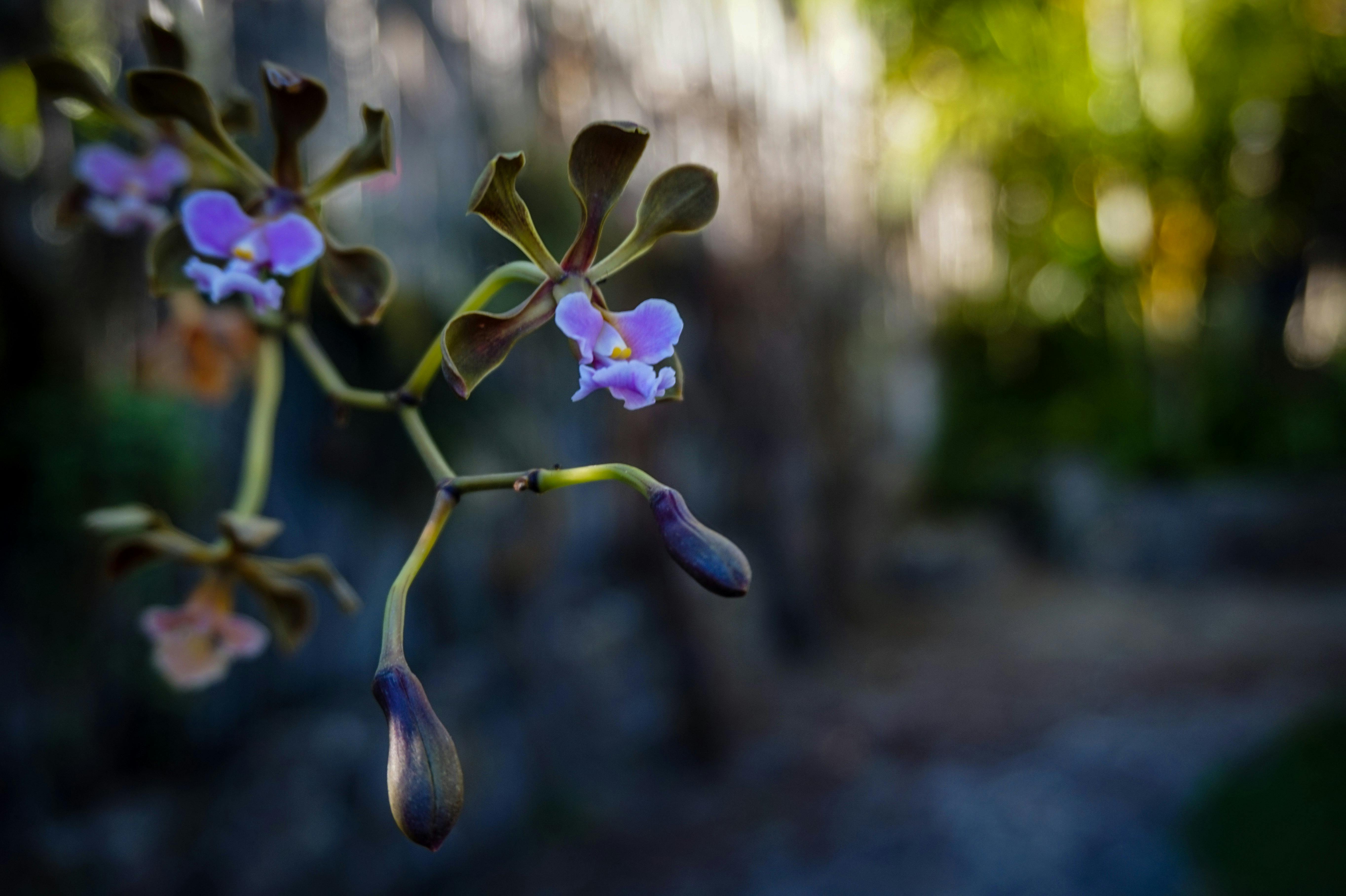 Sarah Hansen - Photography