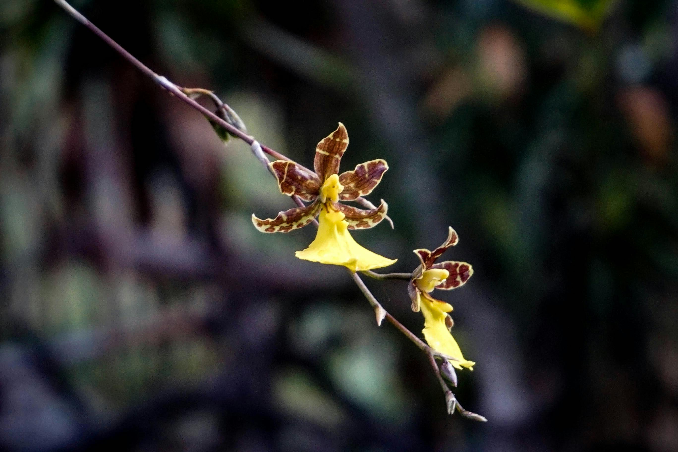 Sarah Hansen - Photography