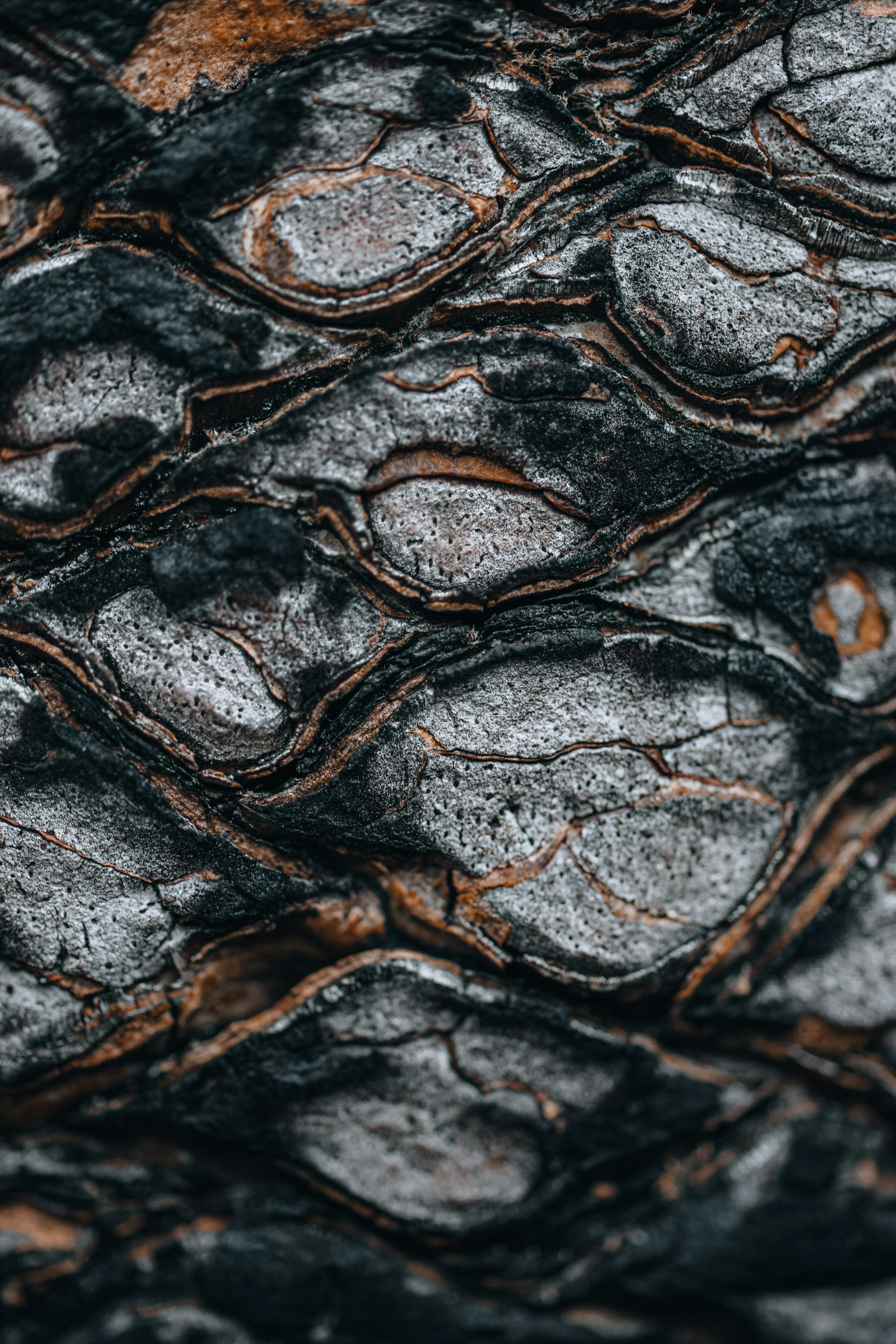 Close-up of a Burnt Surface · Free Stock Photo