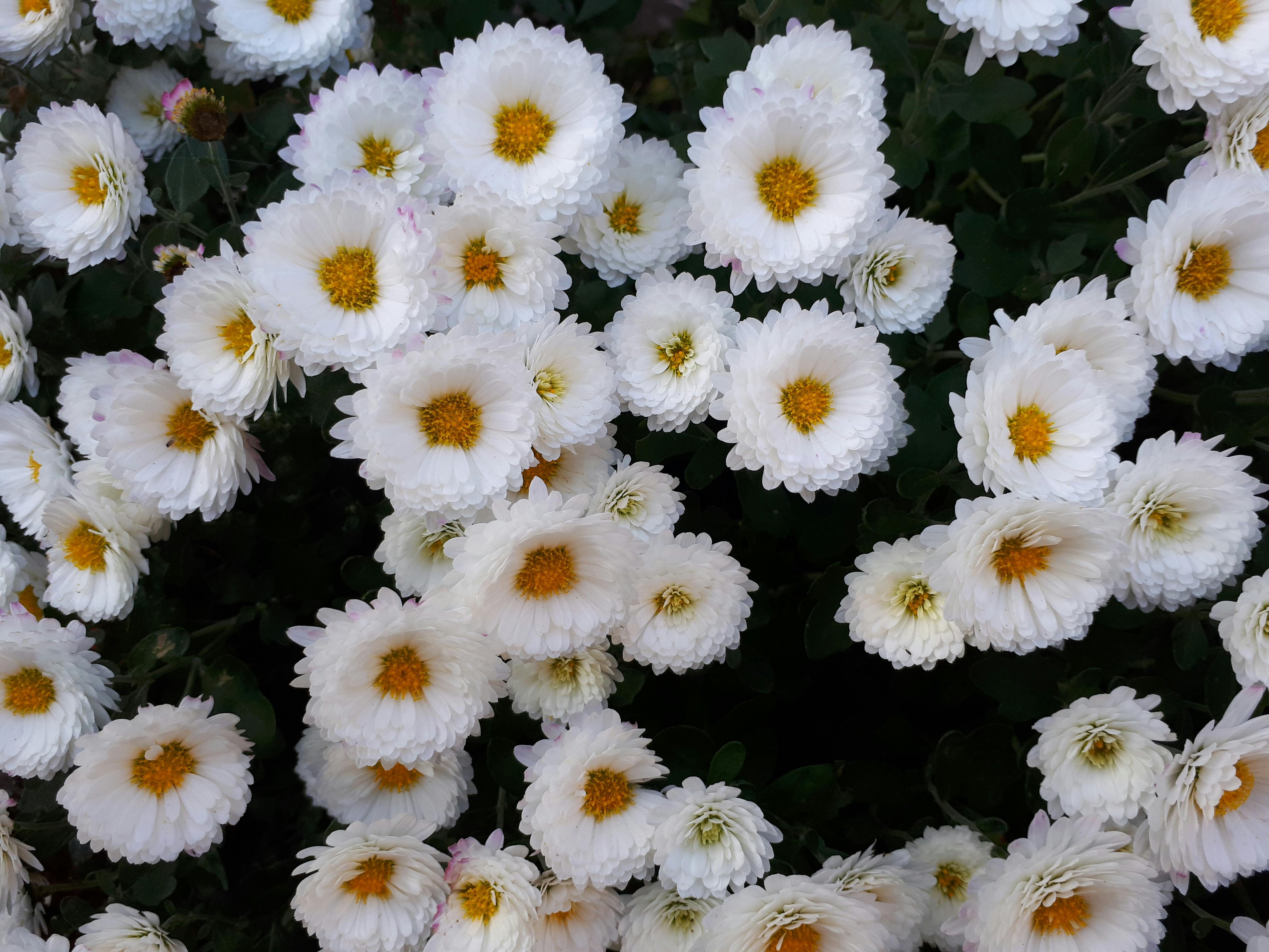 Mina-Marie Michell - 写真