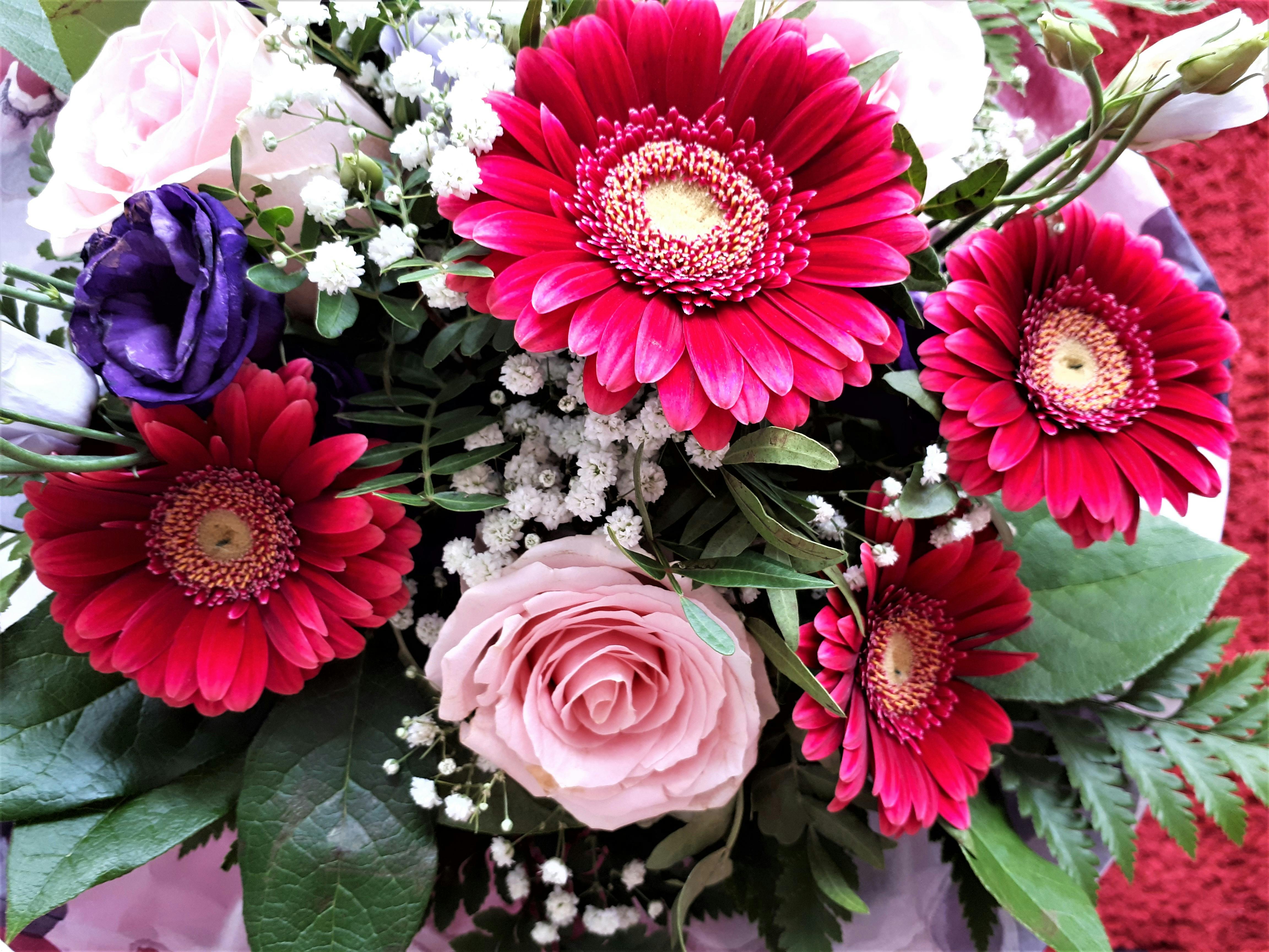 Mina-Marie Michell - 写真