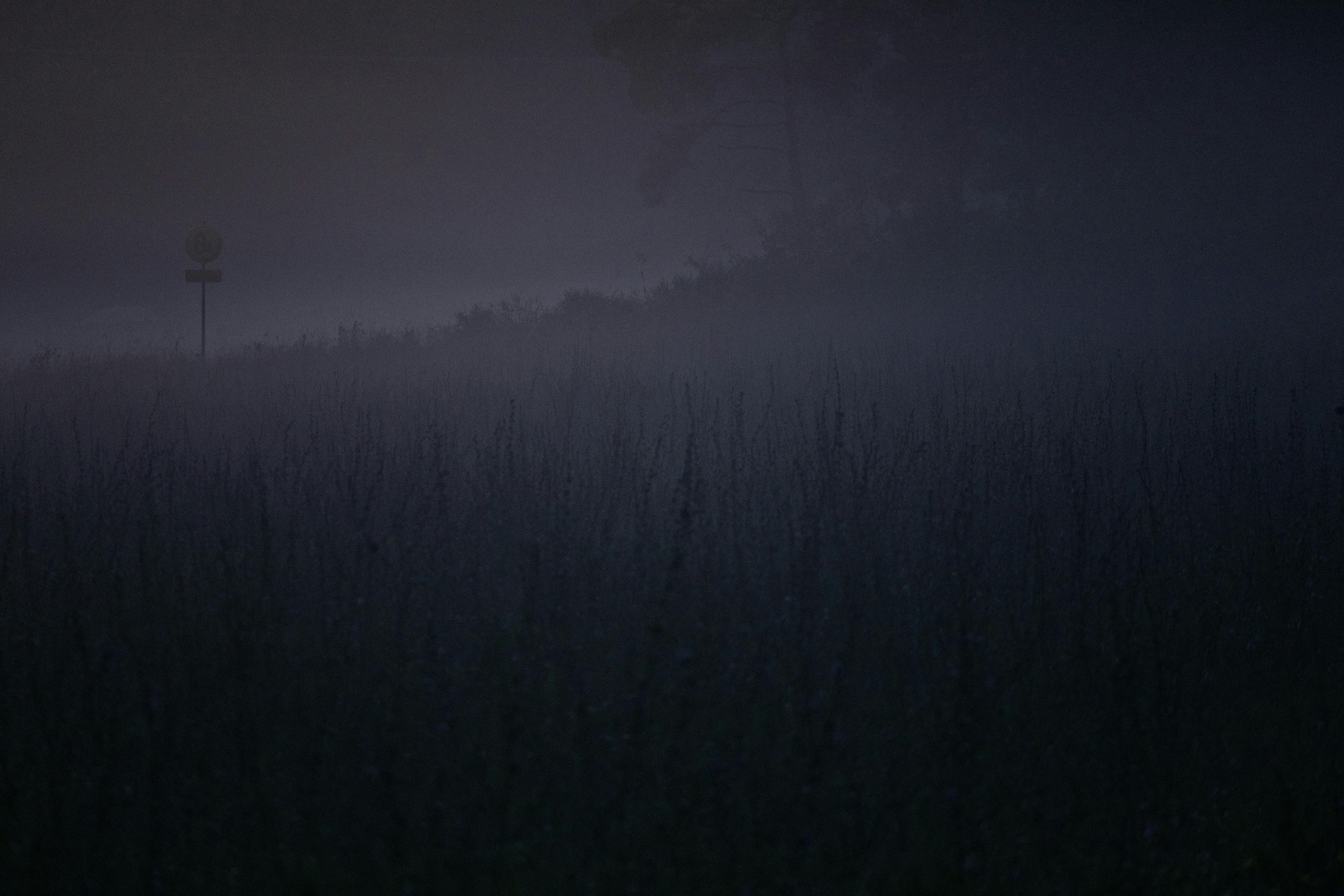 Grayscale Photo of a Landscape · Free Stock Photo