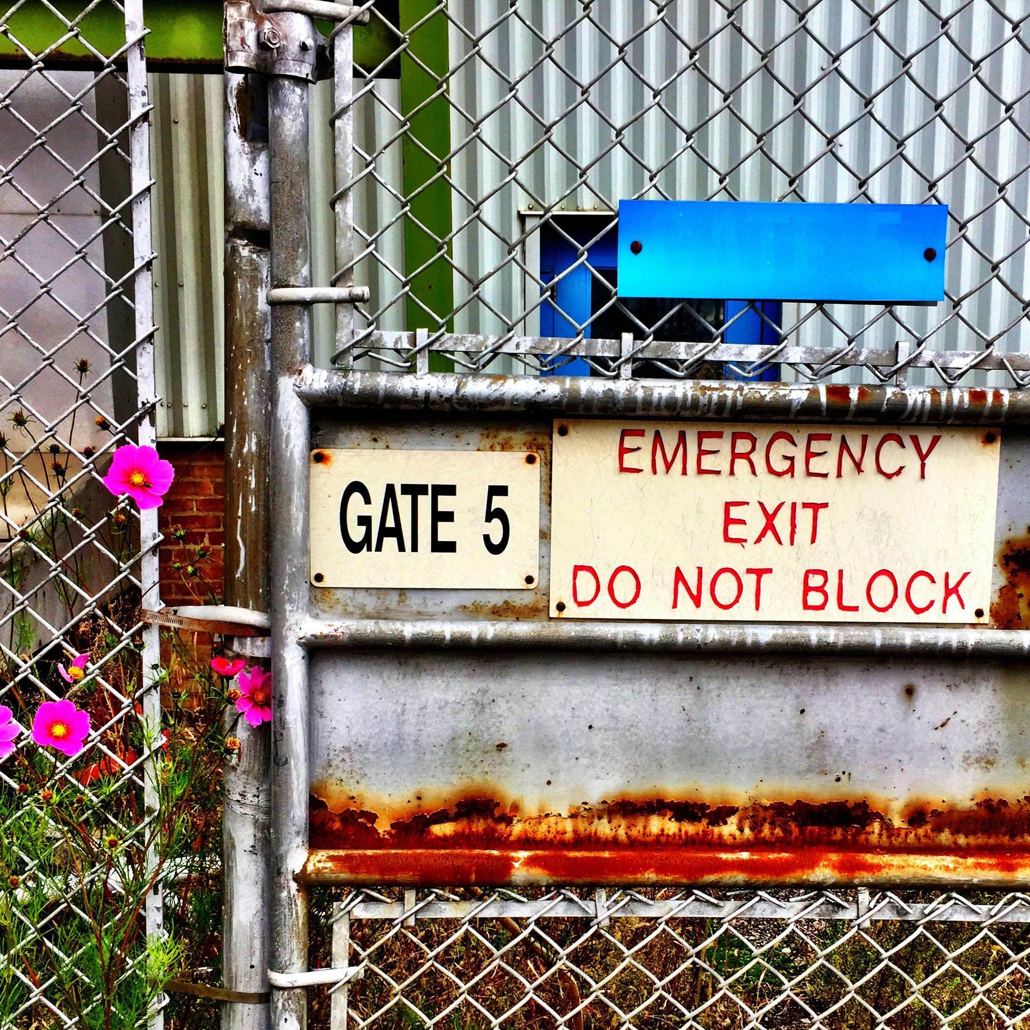 Robin McPherson - Photography