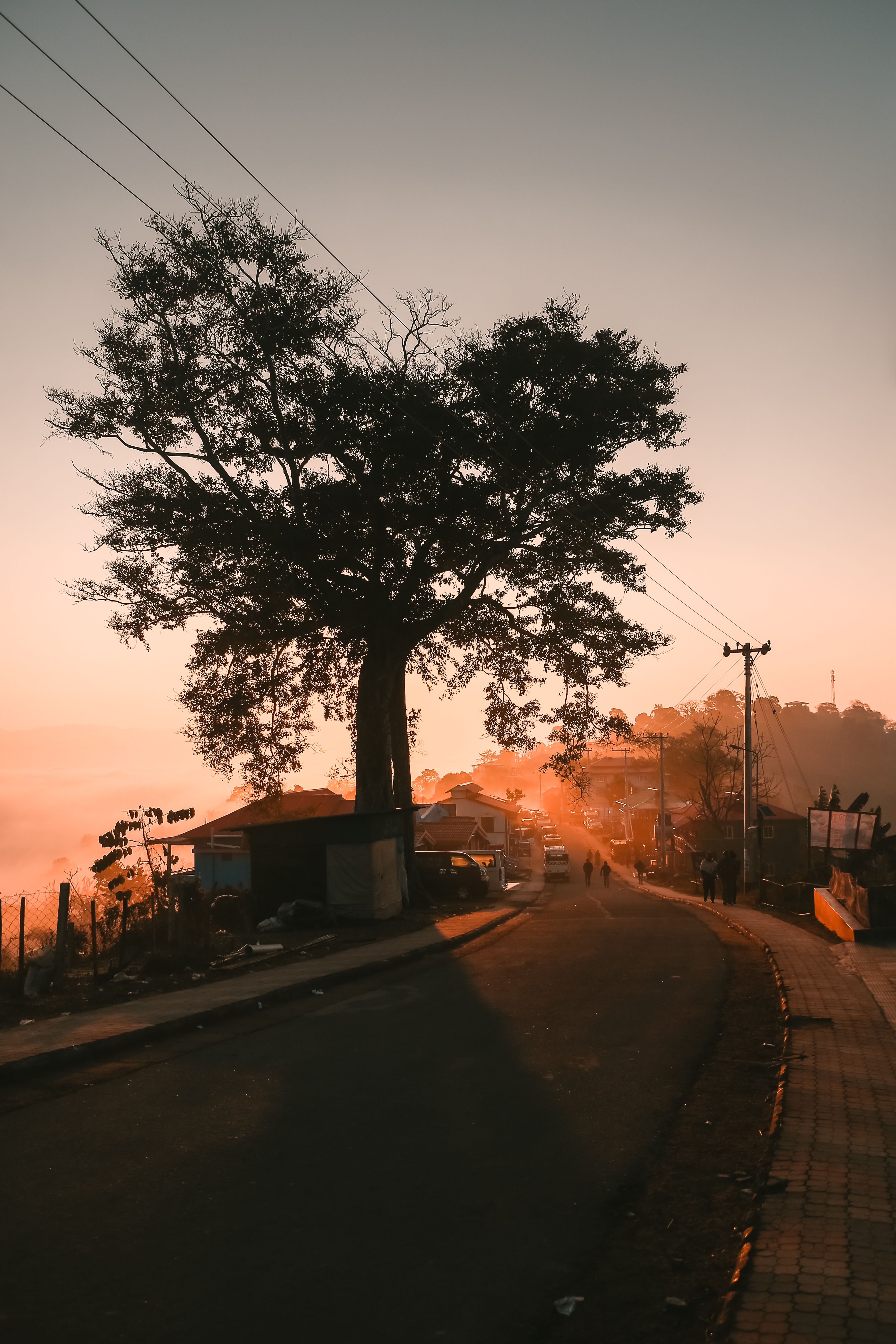 Roadside Houses Photos, Download The BEST Free Roadside Houses Stock ...