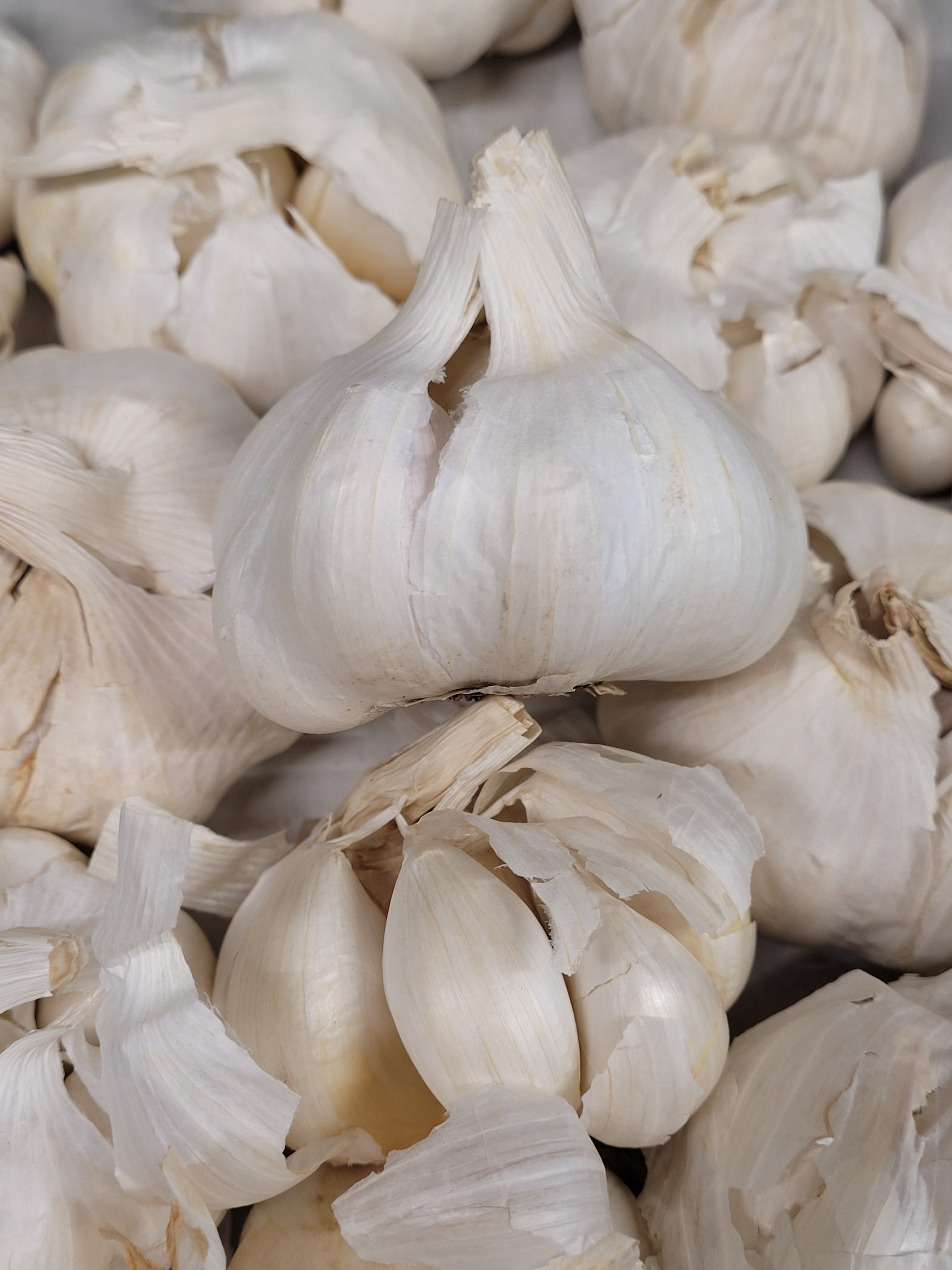 Close-Up Shot of Garlic · Free Stock Photo
