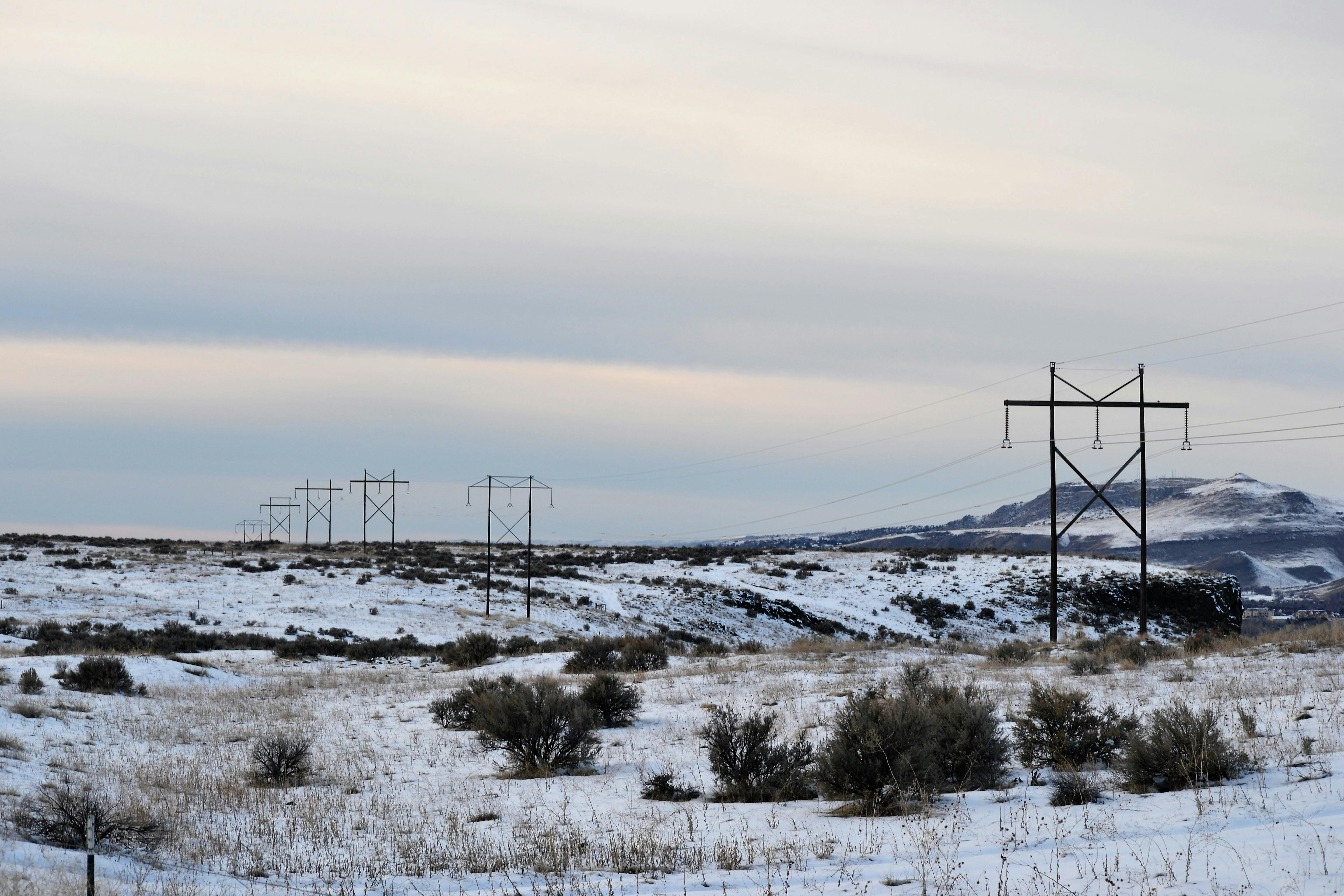 Metal Power Grid Towers · Free Stock Photo