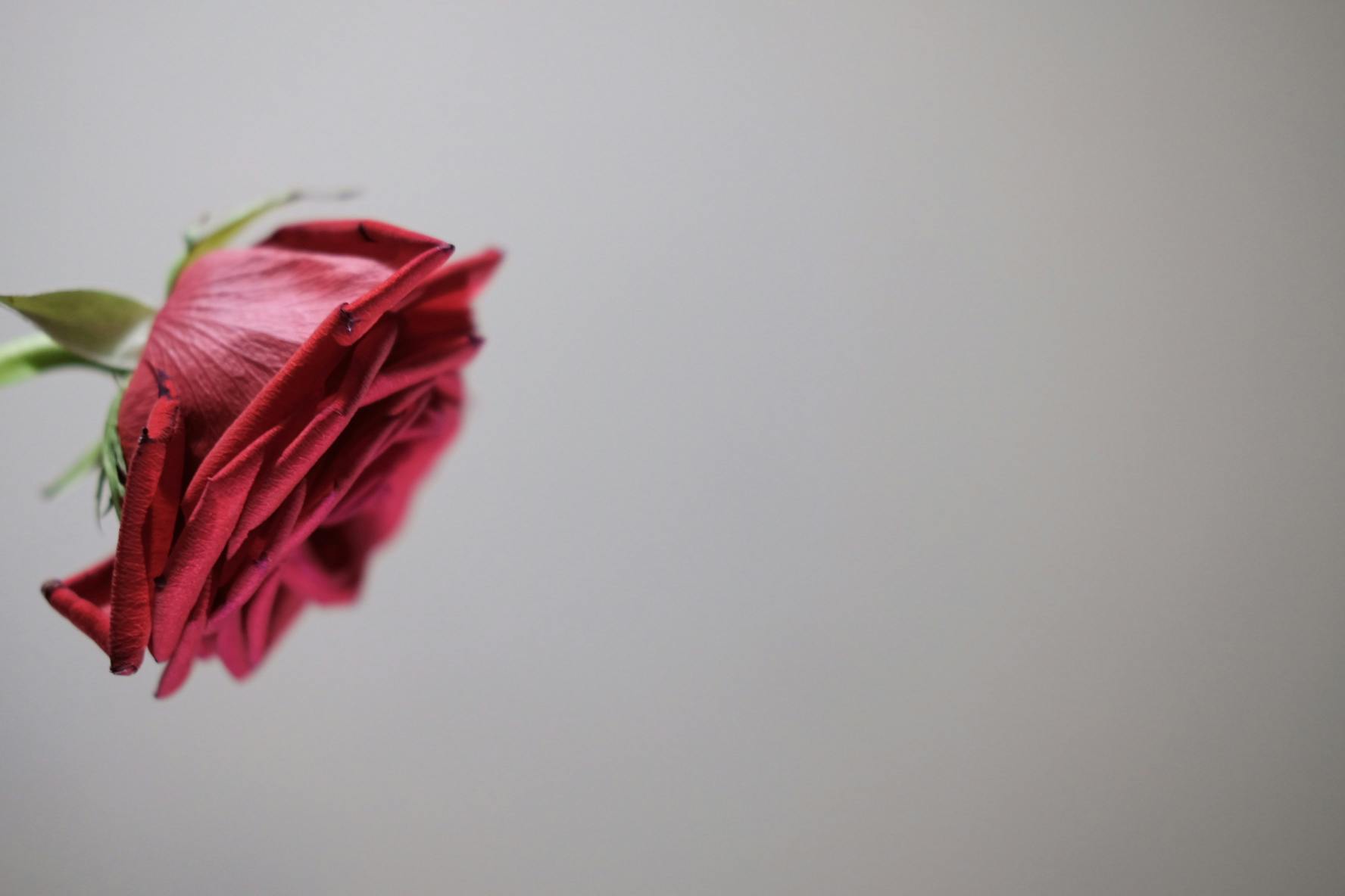 Jairo Chacon - Photography