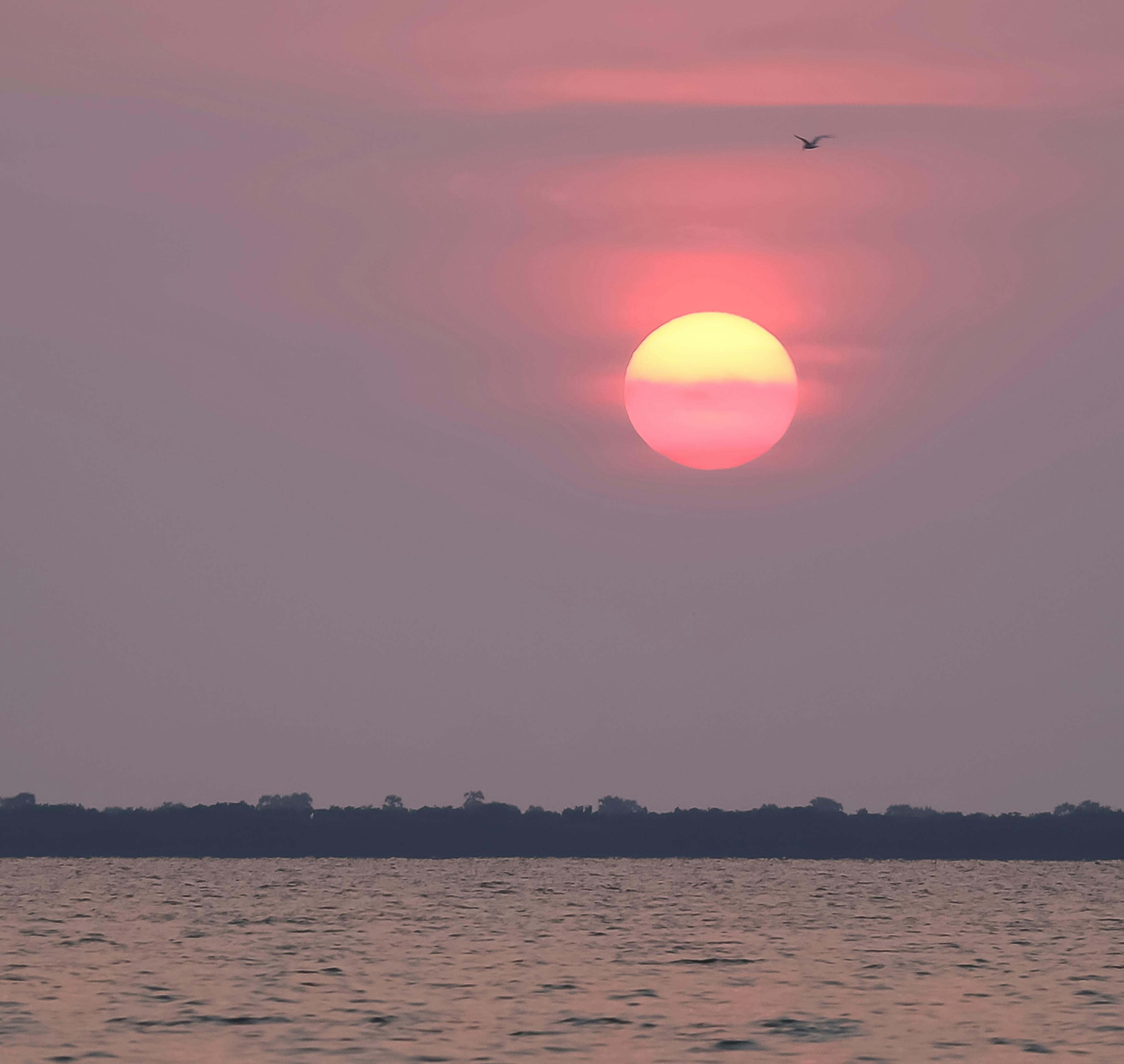 Leandro Andrade - Photography