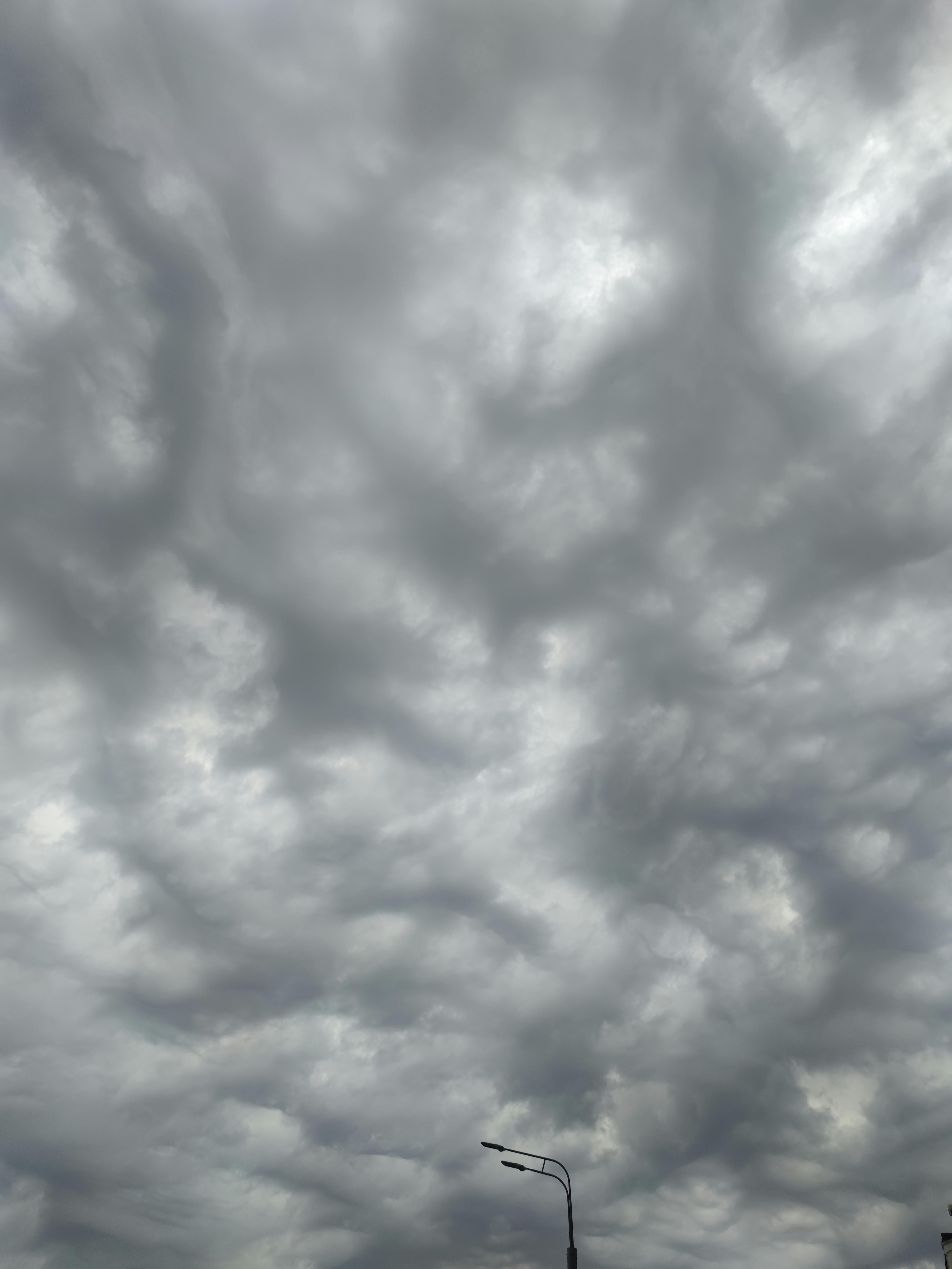 200+ Best Dull Photos · 100% Free Download · Pexels Stock Photos