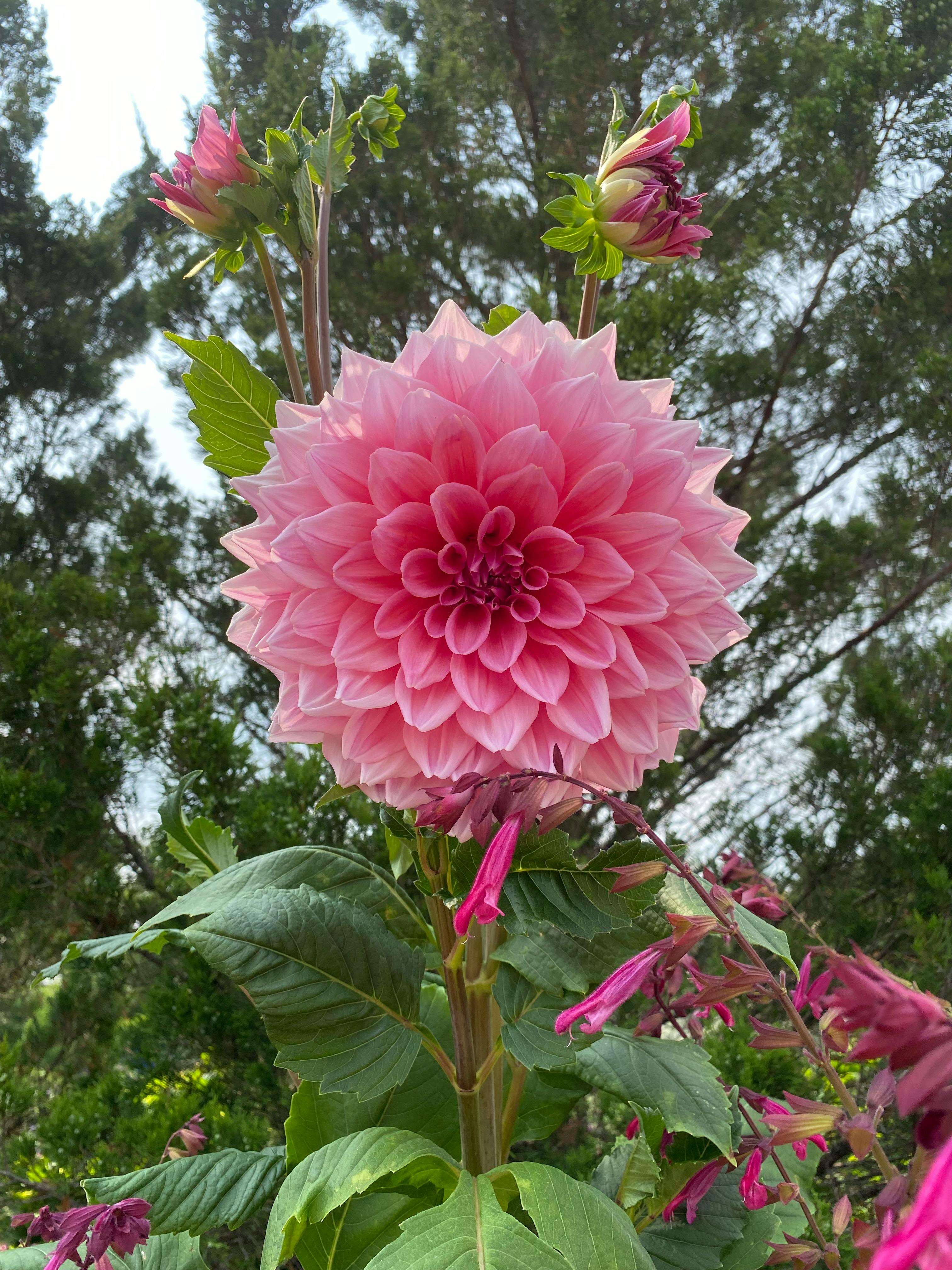 Foto gratuita di @all'aperto, architettura del paesaggio, artistico ...