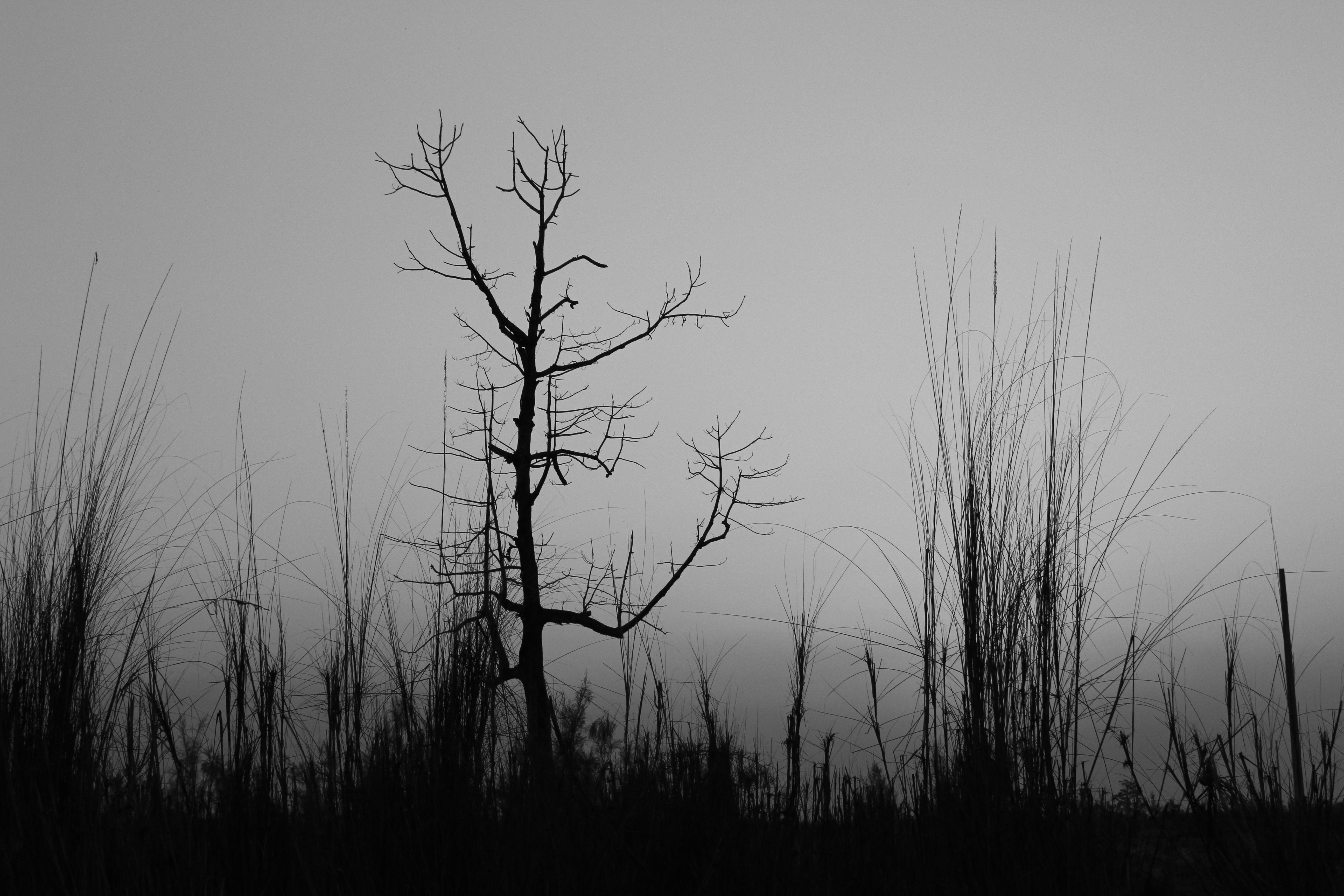 4+ Best Free Tres Stock Photos & Images · 100% Royalty-Free HD Downloads