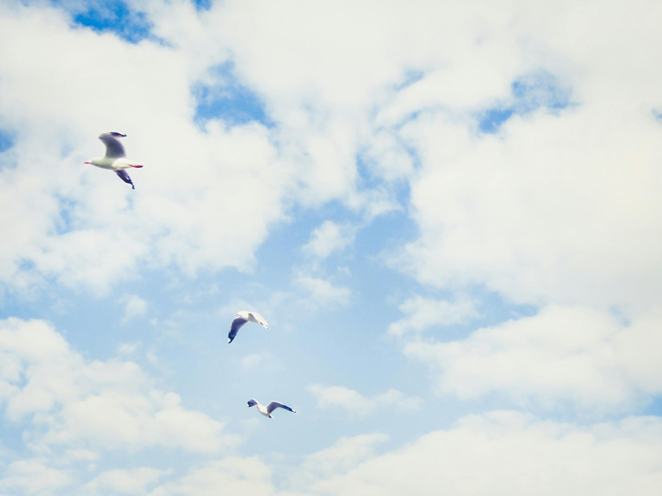 Amy Chandra · Photography