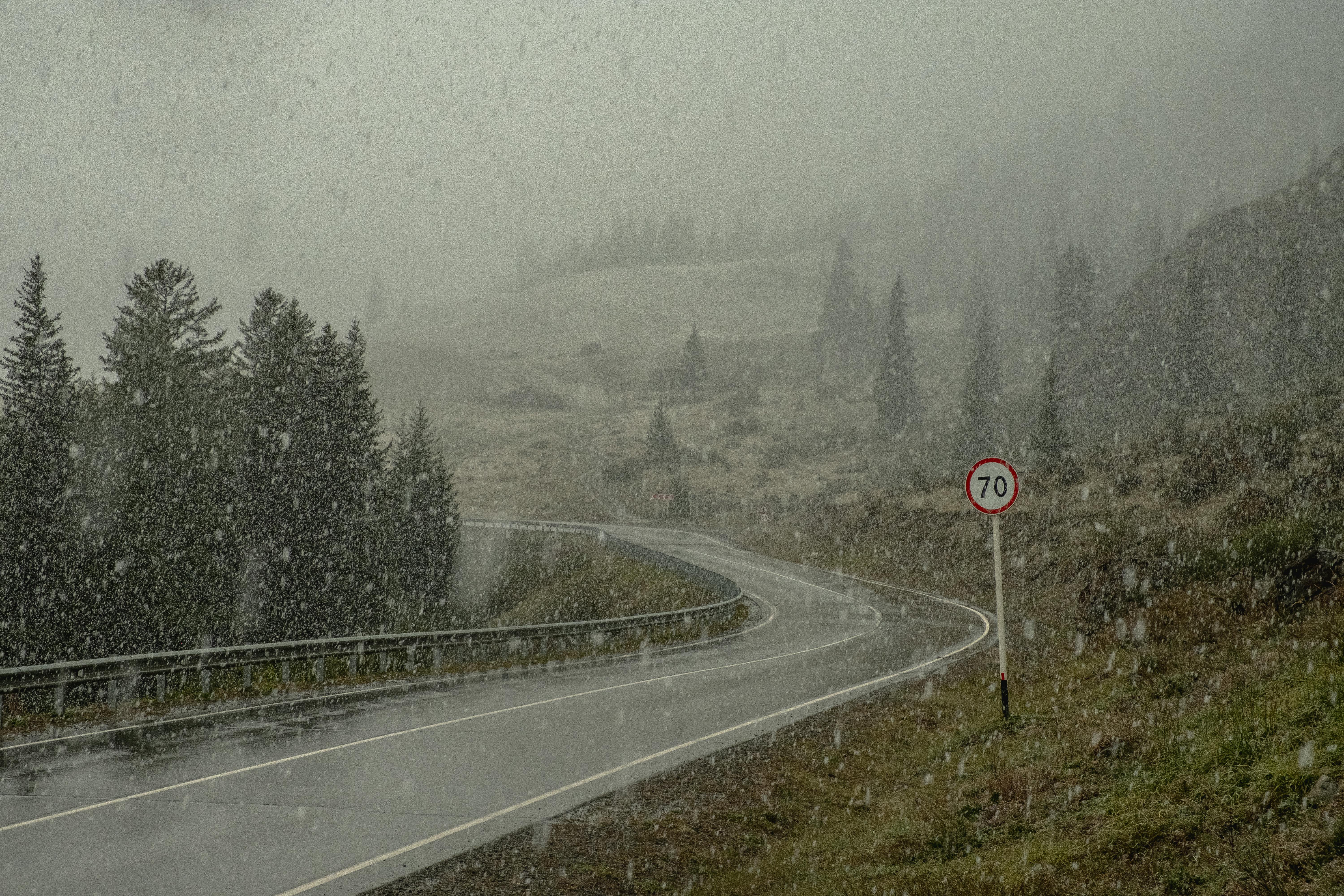 Rain Falling on the Road · Free Stock Photo