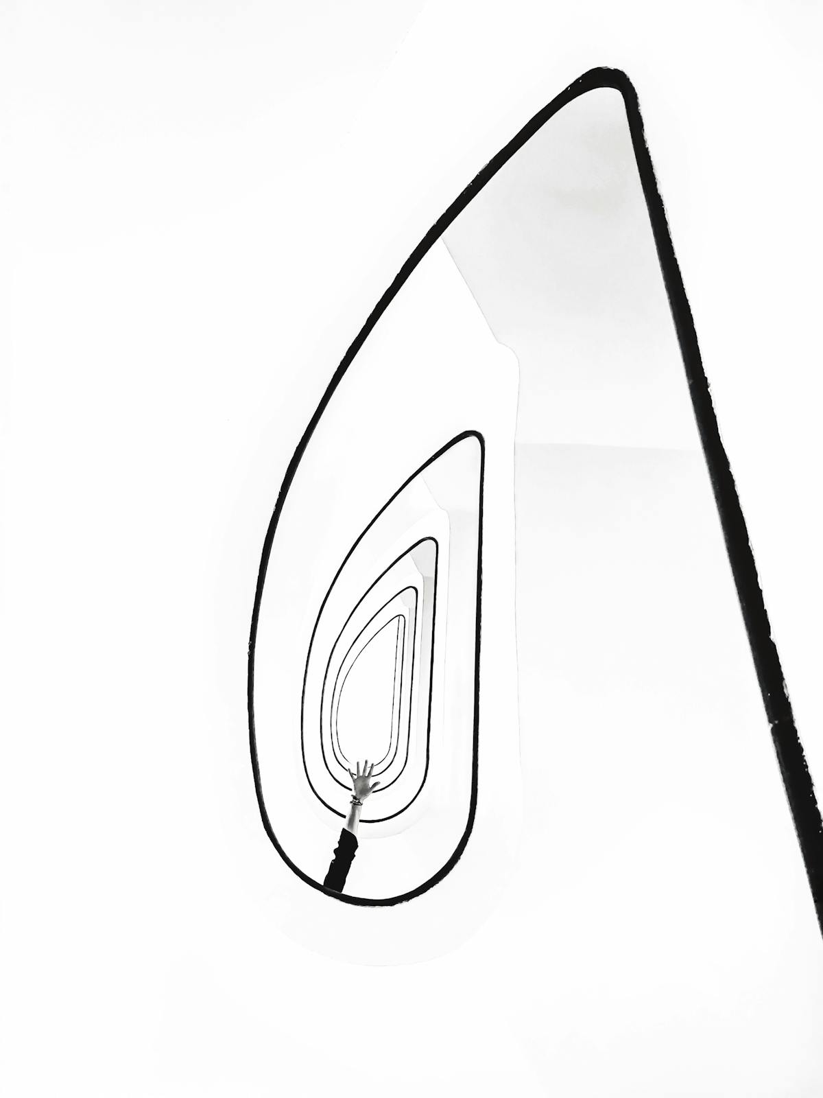 White Background Photos, Download The BEST Free White Background Stock ...