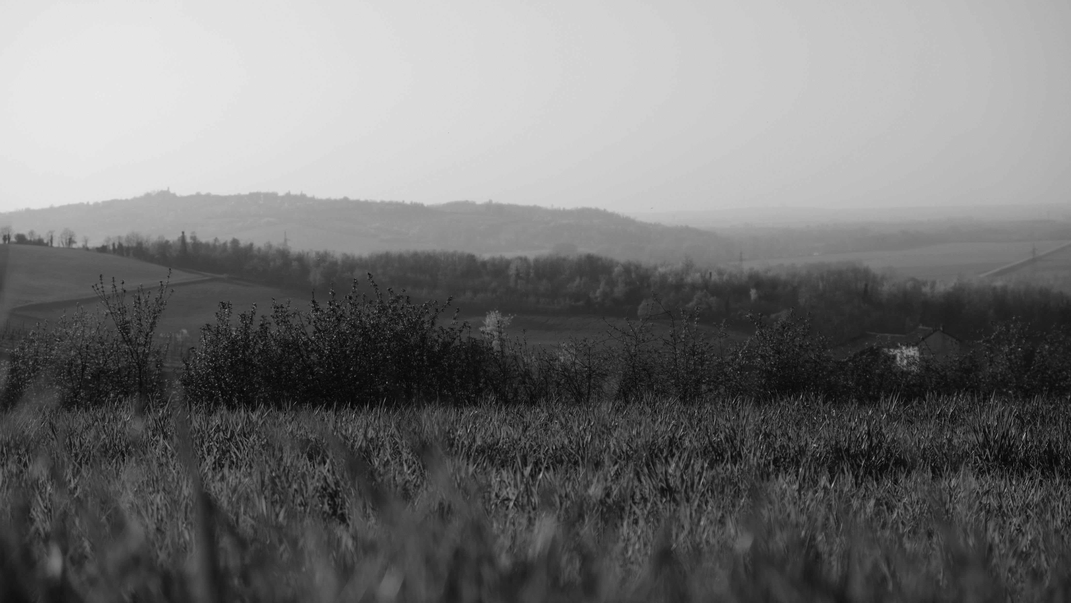 Grayscale Photo of Grass Field on Hills · Free Stock Photo
