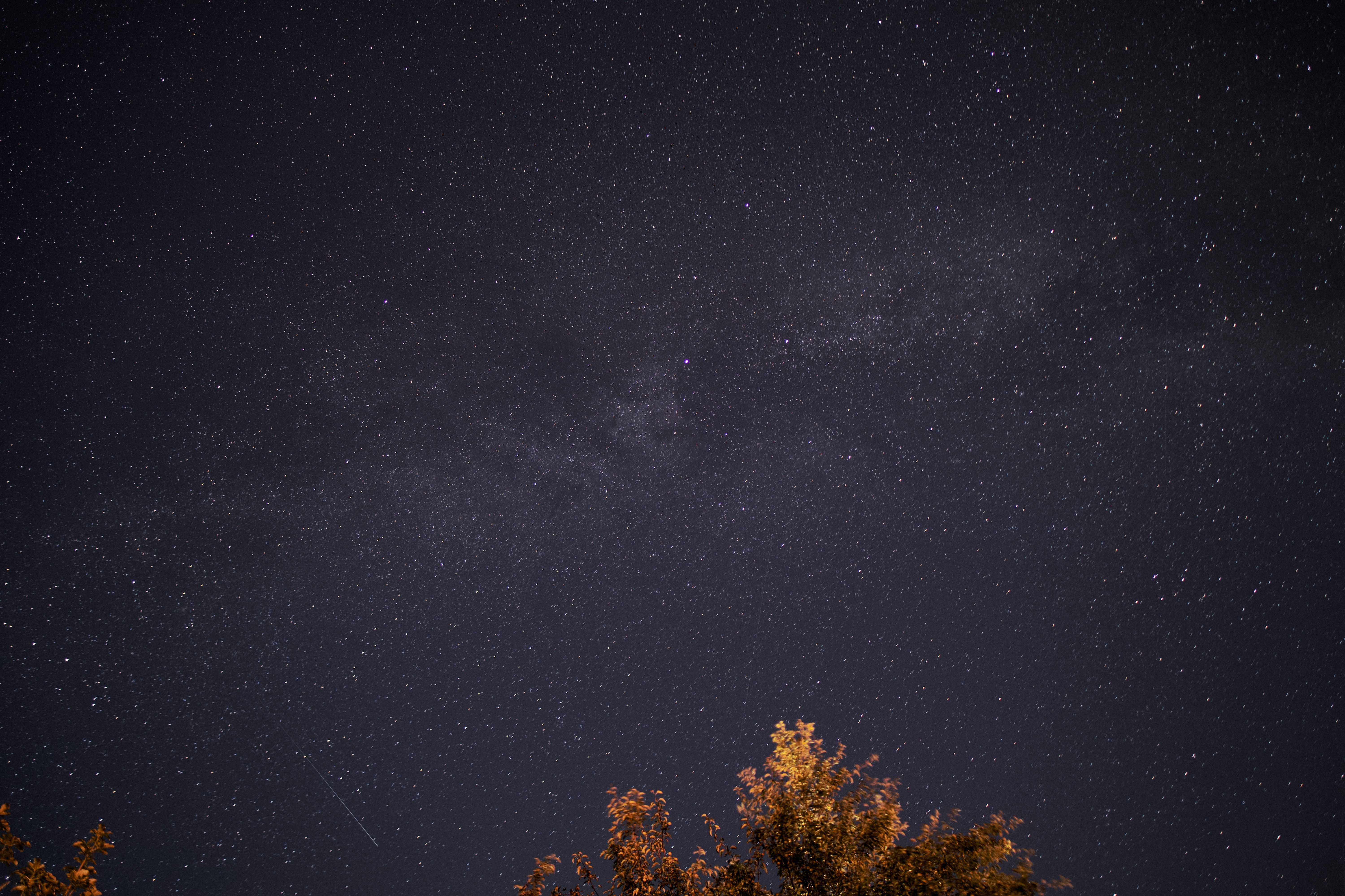 Starlight Photos, Download The BEST Free Starlight Stock Photos & HD Images
