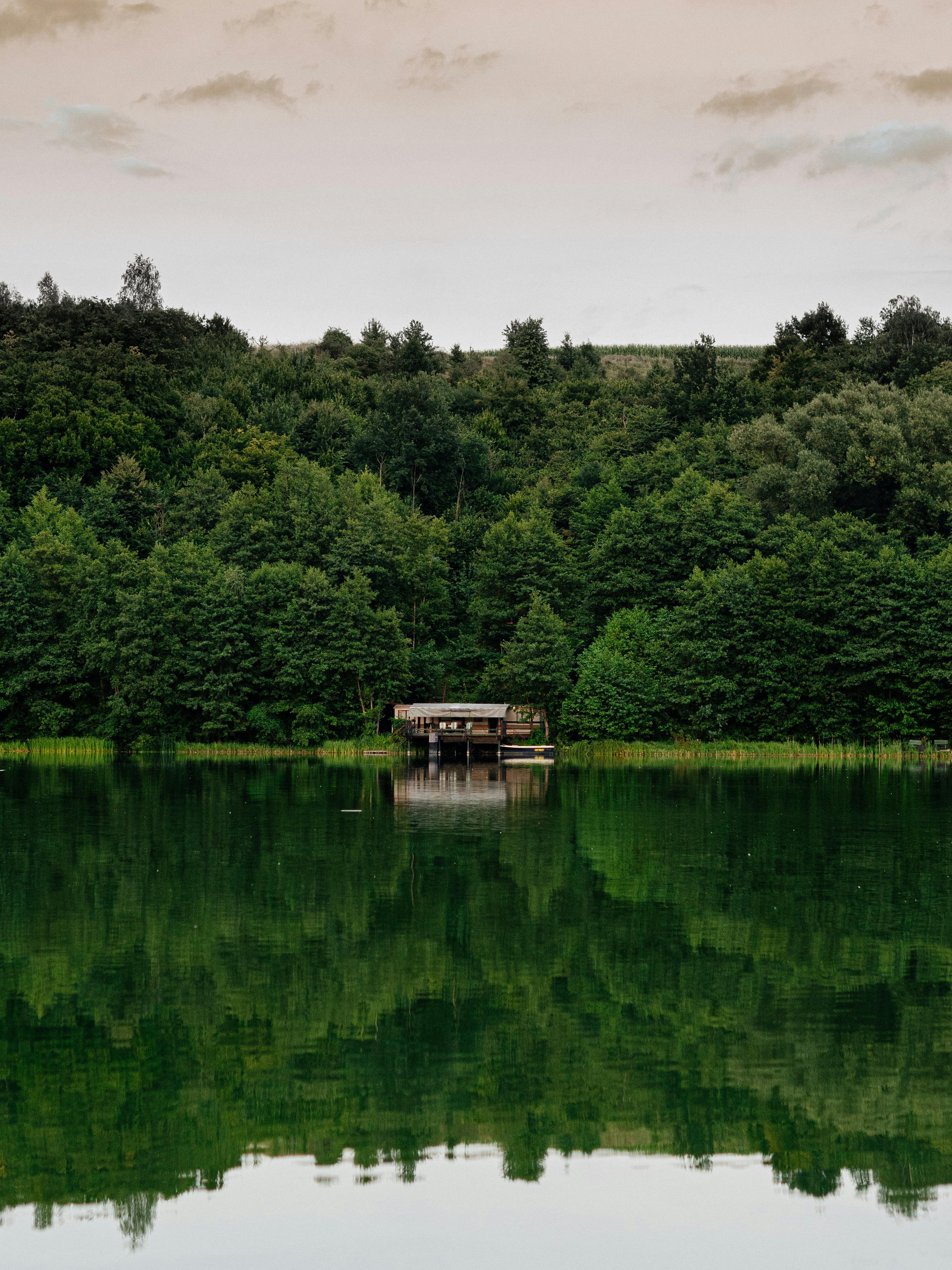 White and Orange House Beside Forest and Body of Water · Free Stock Photo