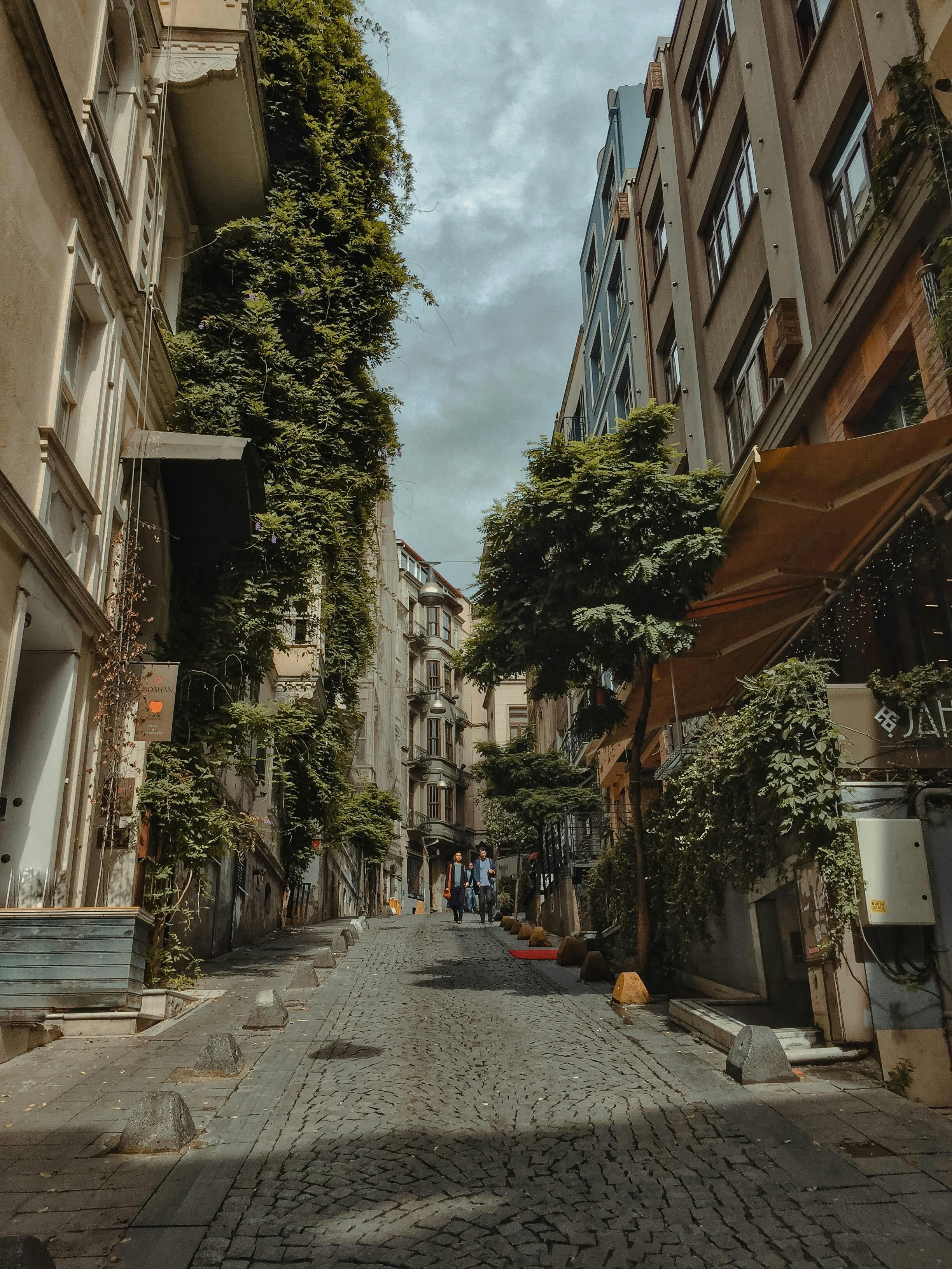 A Low Angle Shot of a Street Between Buildings · Free Stock Photo