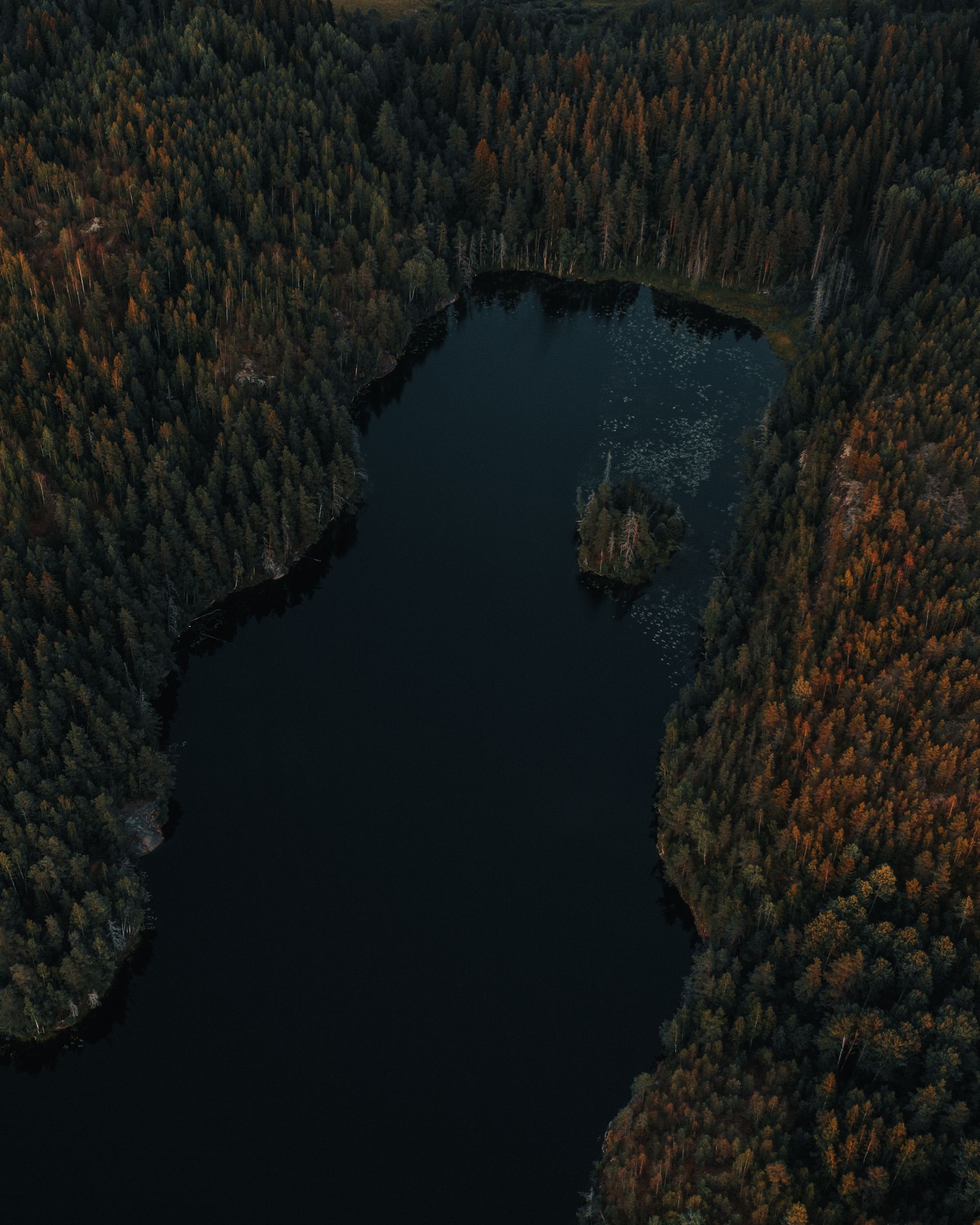 Lake Surrounded with Brown and Green Trees · Free Stock Photo