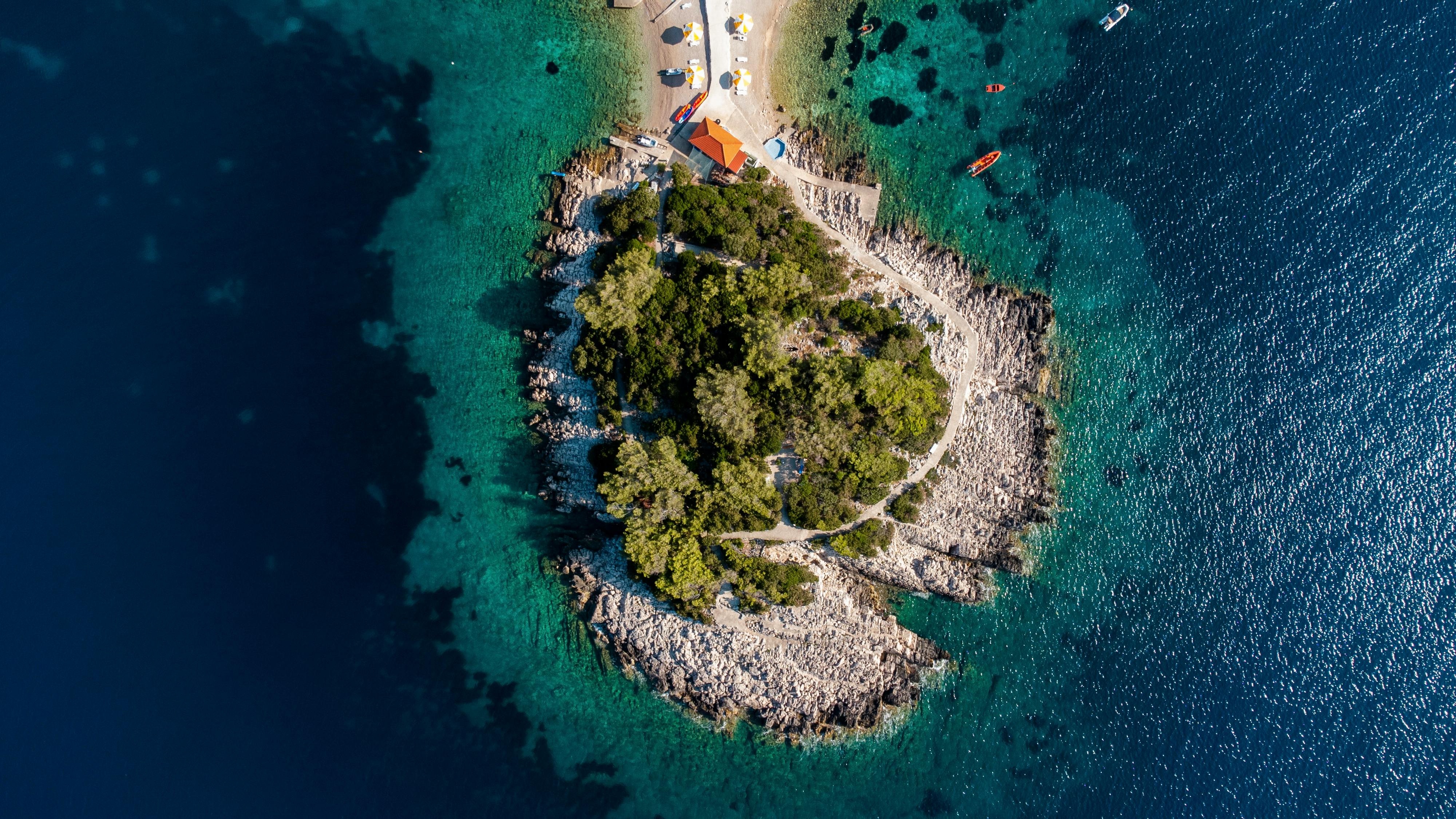 Aerial Photography of Trees in the Forest near Ocean · Free Stock Photo