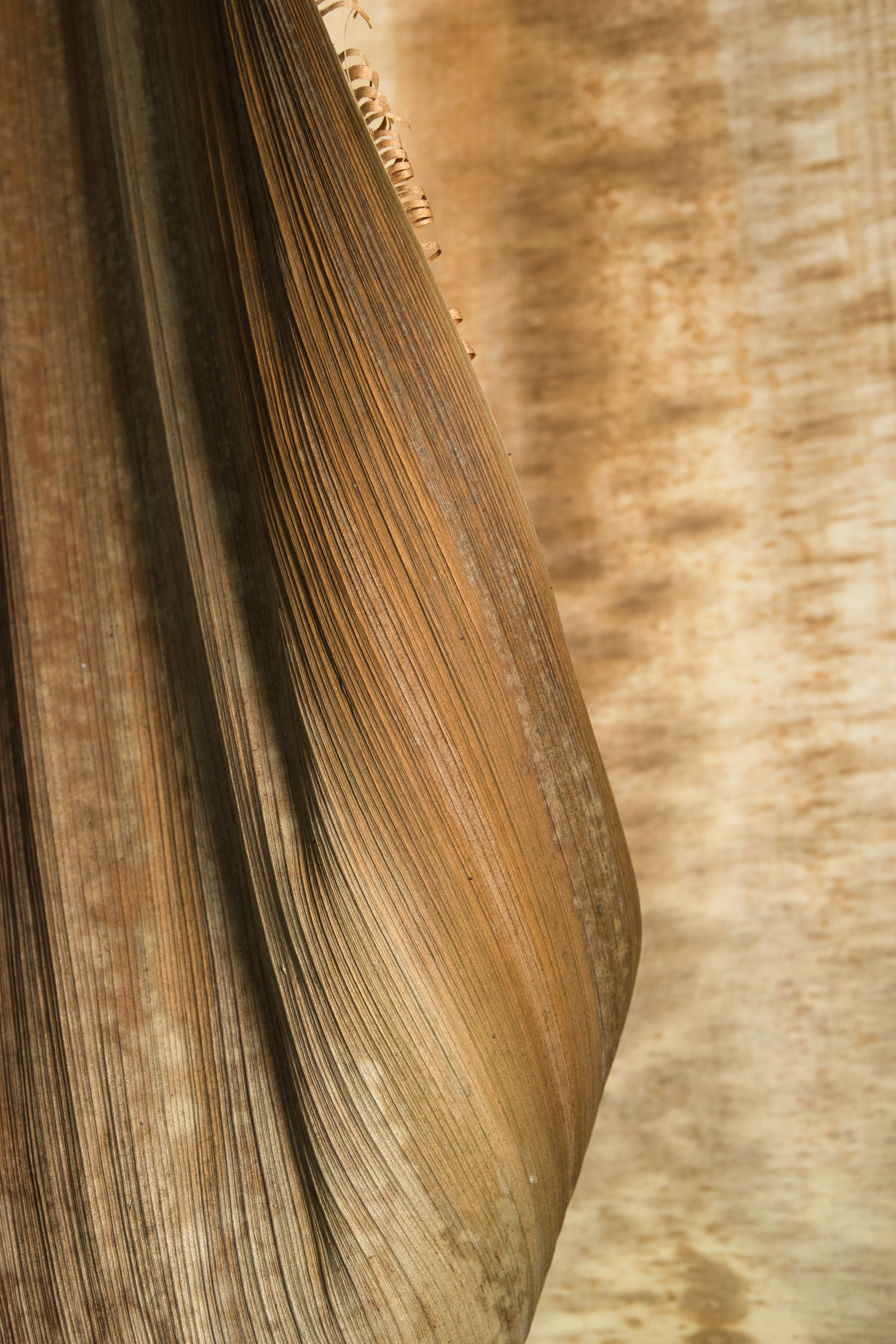 Close-Up Shot of a Wood · Free Stock Photo