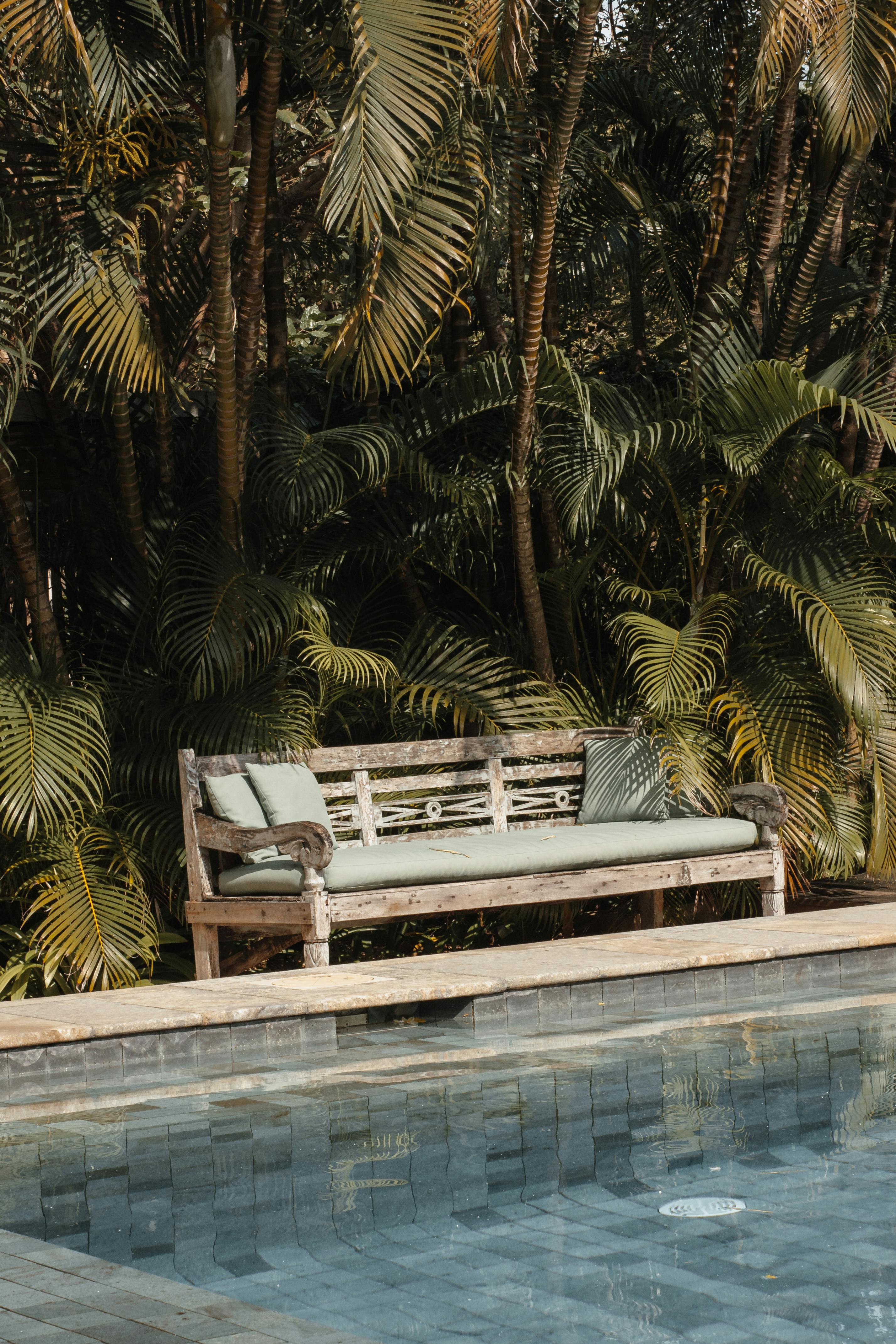 Bench Near Pool · Free Stock Photo